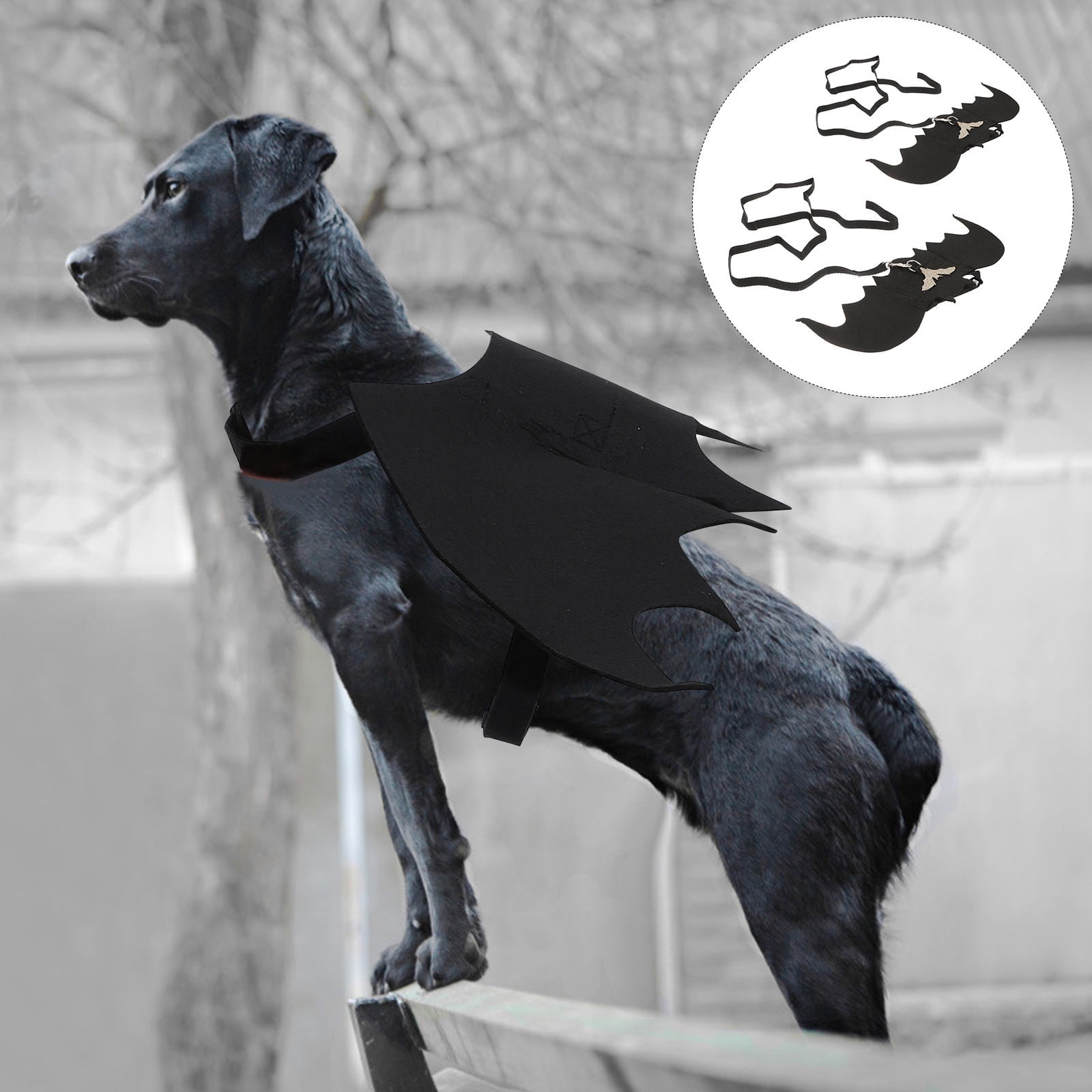 Indoor Dog Bat Pet Accessory with Wings Decoration - Walmart.com