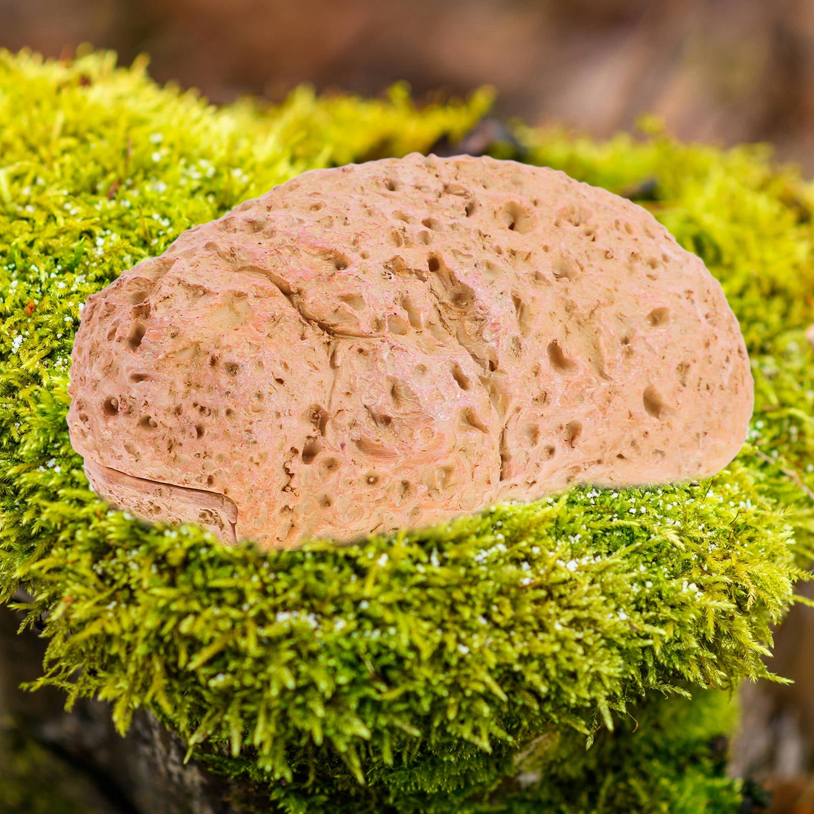 Key Hider Outdoor Hidden Key Holder Fake Appearance Key Holder Stone ...