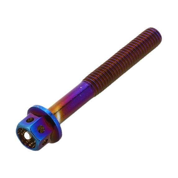 HOMEMAXS License Plate Screws for Motorcycles Car Plate Fasteners ...