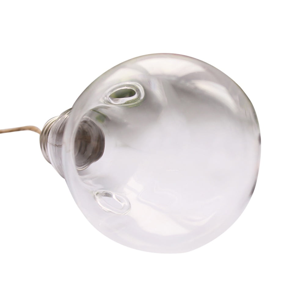 Light Bulb Shaped Glass Planters Wall Hanging Planters 2 Holes Round ...