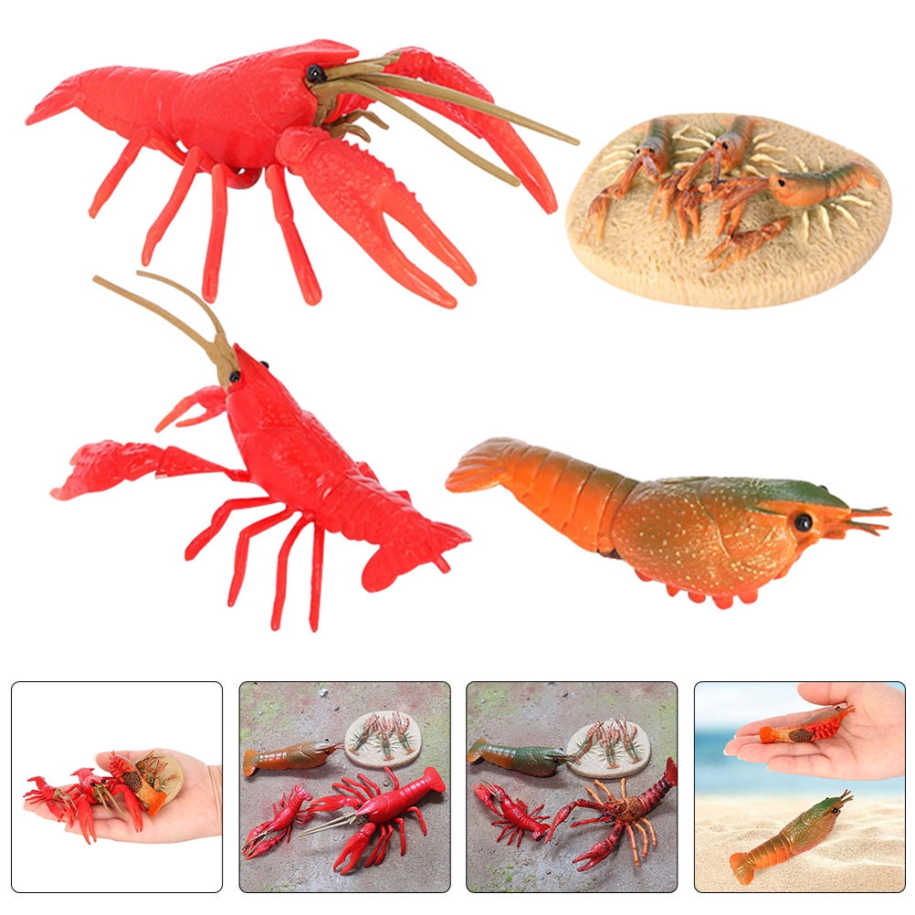 HOMEMAXS Lobsterling Life Cycle Toys Simulated Crayfish Models Child ...
