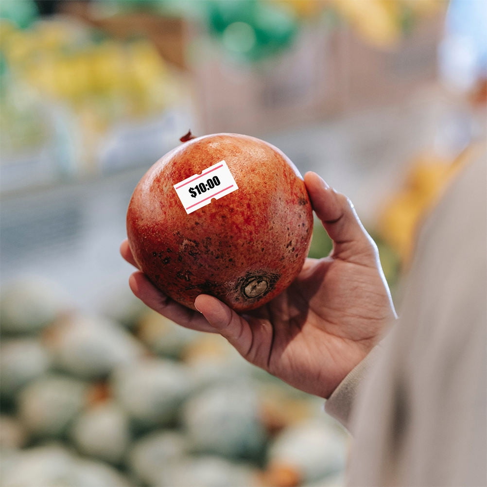 HOMEMAXS MLINS 10 Rolls Price Tag Machine Labels for Supermarket Price ...