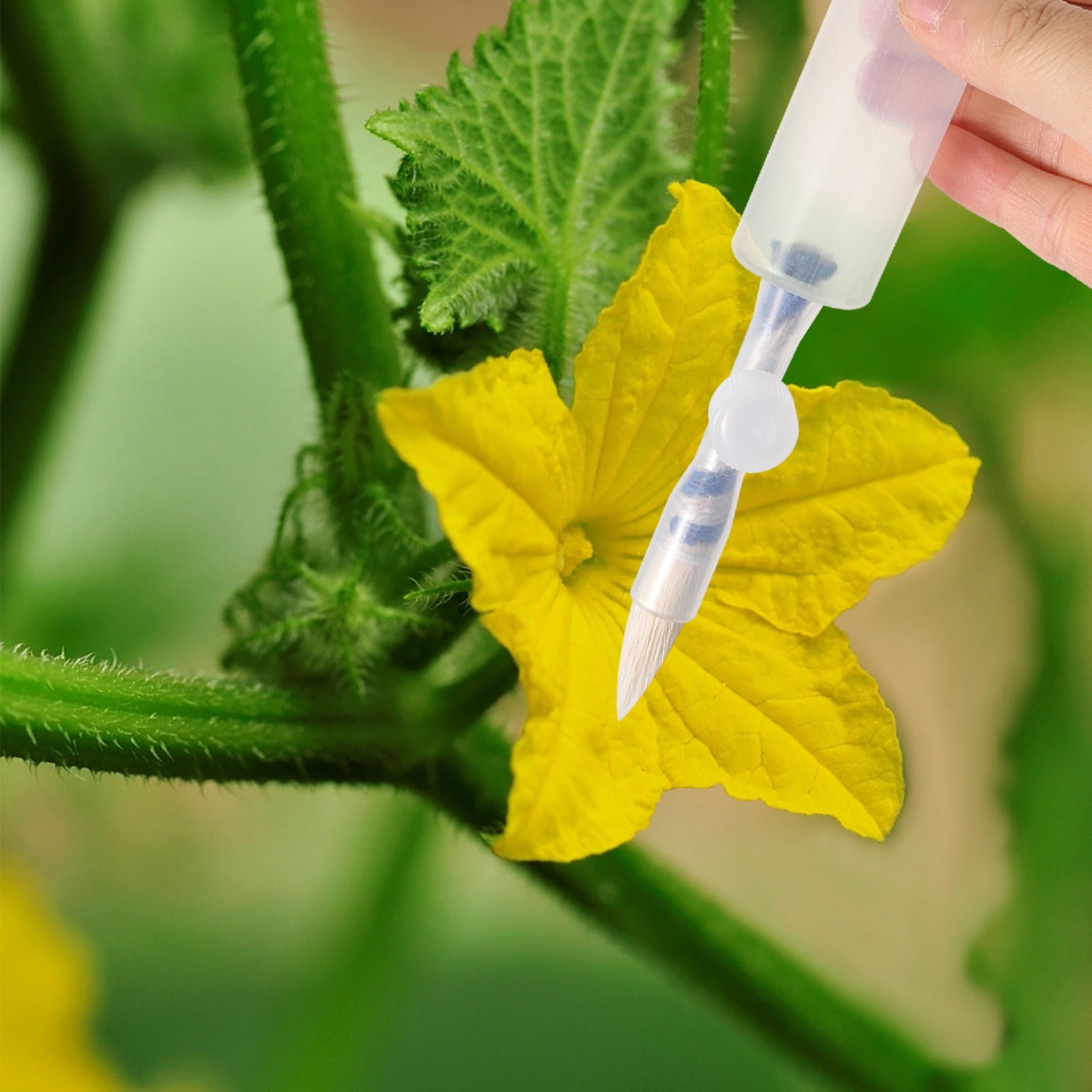 HOMEMAXS Manual Pollinator Tool for Gardening Plastic Easy to Use for ...