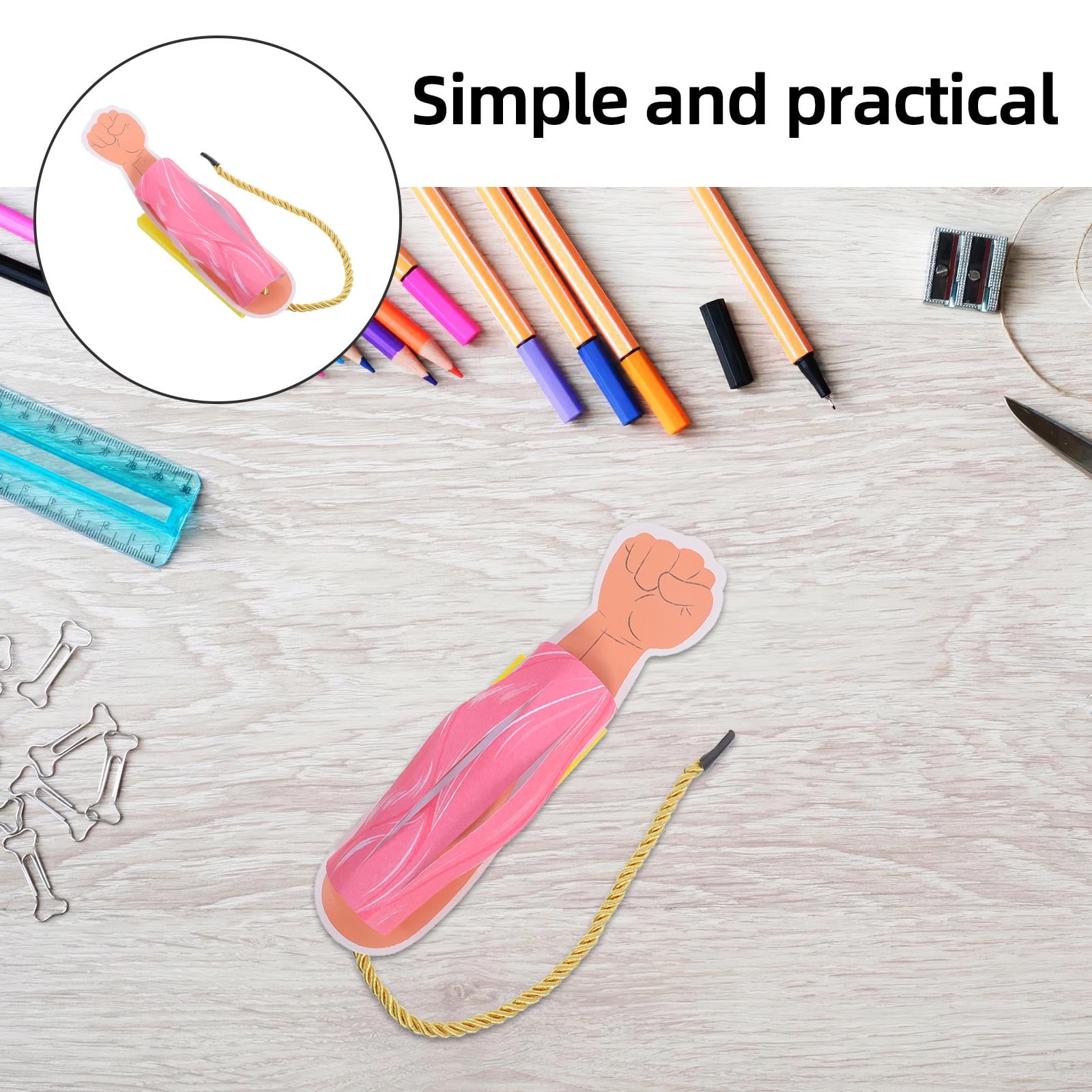 HOMEMAXS Muscle Model Human Musculature Model Hand Arm Muscle Model ...