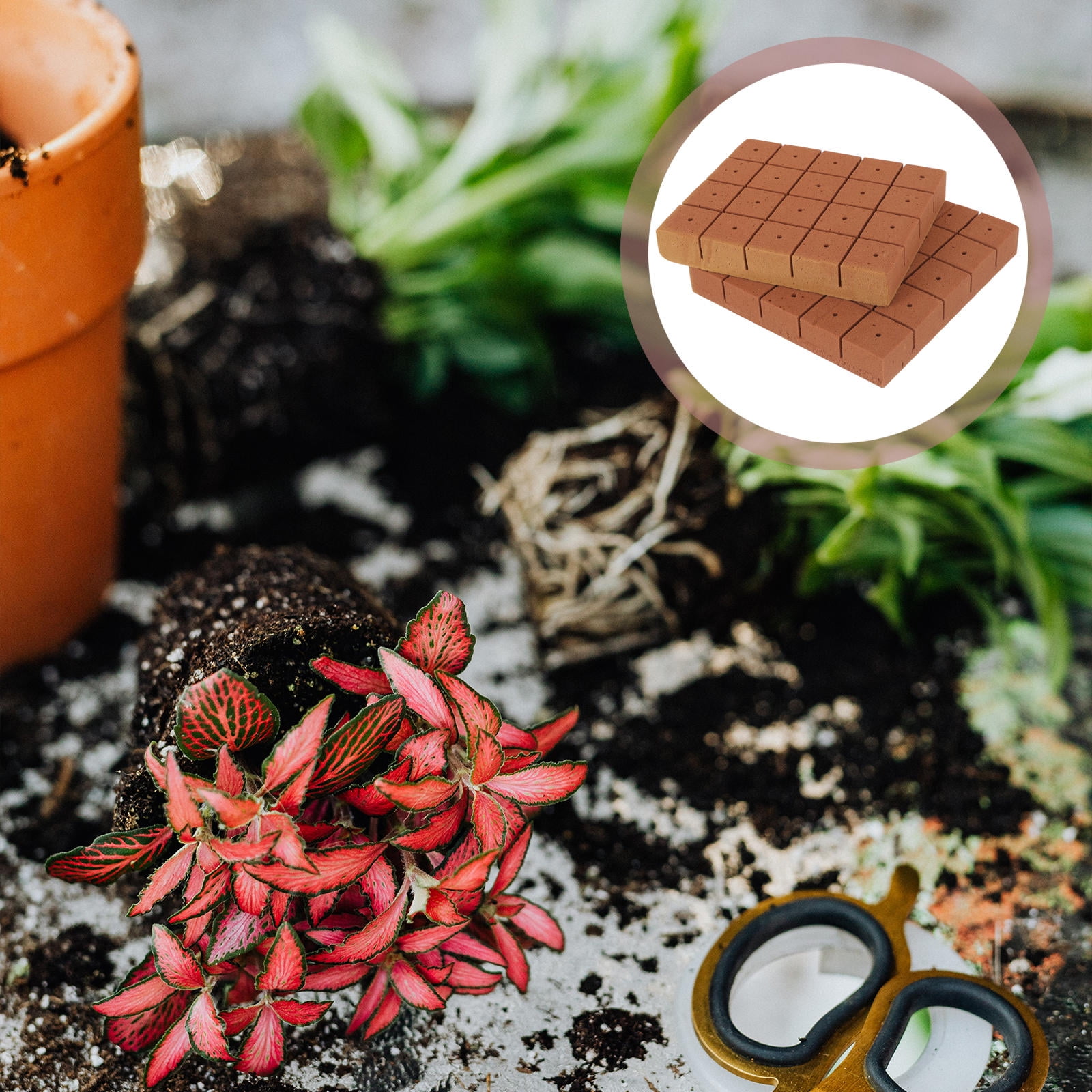 HOMEMAXS 50pcs Professional Nutrient Blocks for Plant Use Practical ...