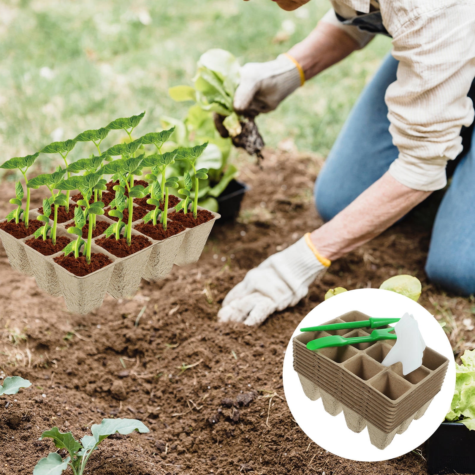 HOMEMAXS Planting Container Germination Starting Cup Tray Greenhouse ...