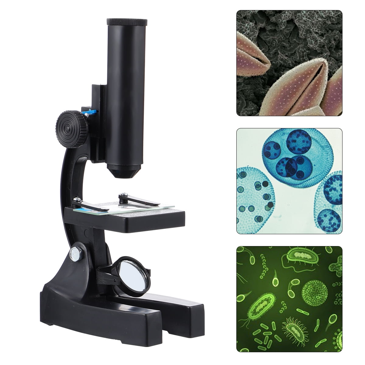 Plastic Microscope Learn Science Tool for Primary School Teaching ...