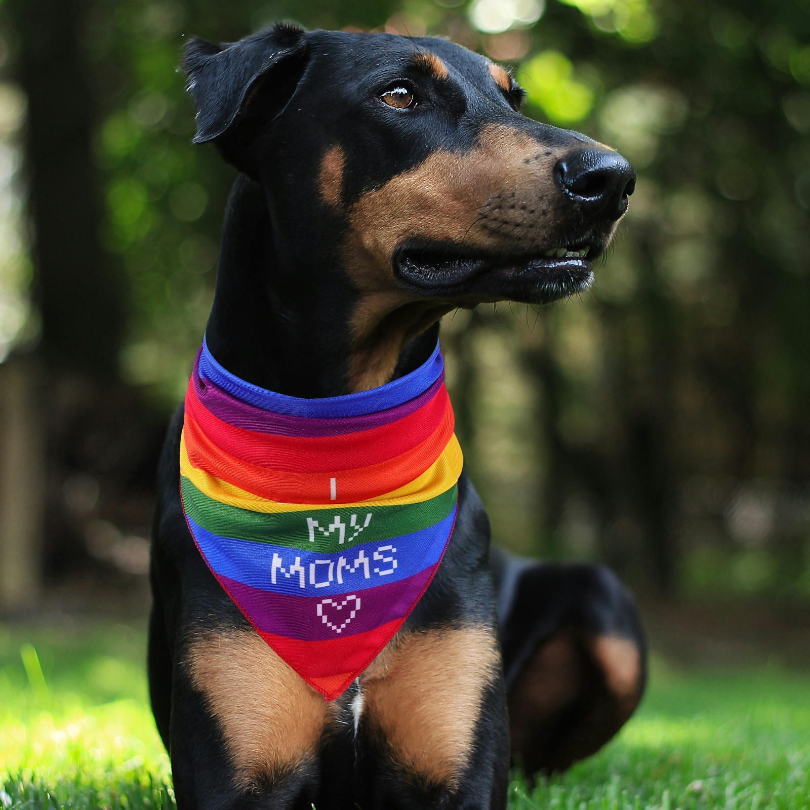 Pride Rainbow Dog Bandana Lgbt Pride Pet Scarf Pride Rainbow Pet ...
