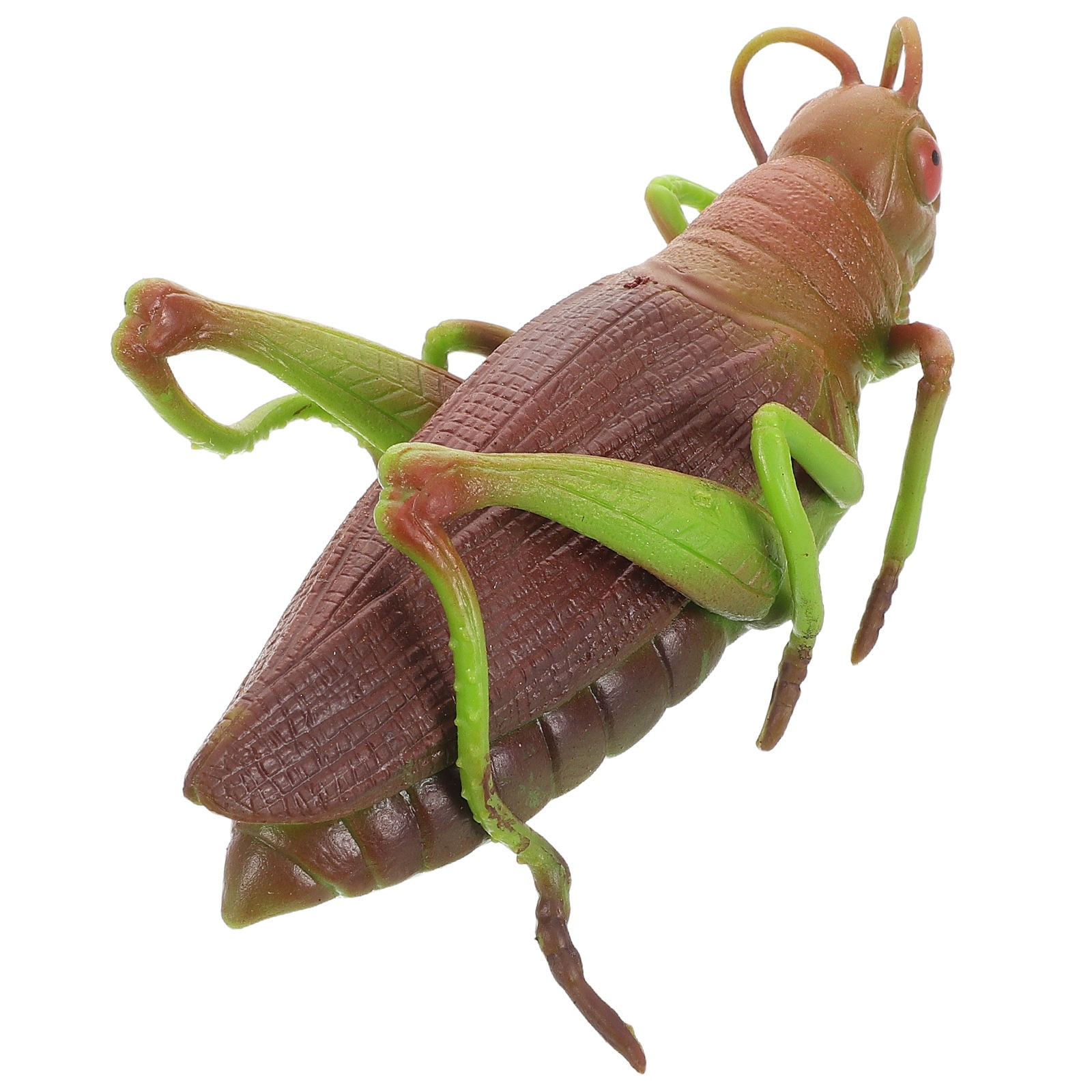 HOMEMAXS Realistic Animal Insect Toys Grasshopper Model for Kids Soft ...
