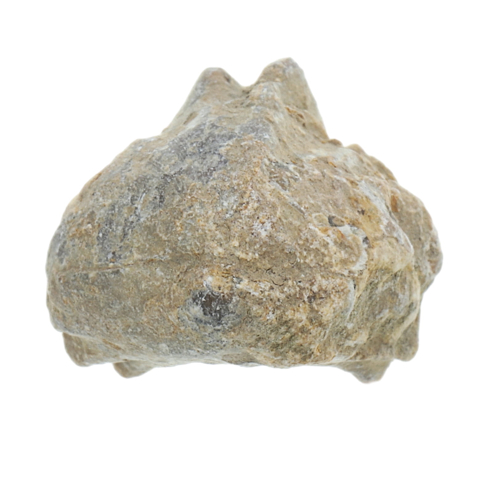 HOMEMAXS Rock Tumbler for Kids Specimen Child Student - Walmart.com