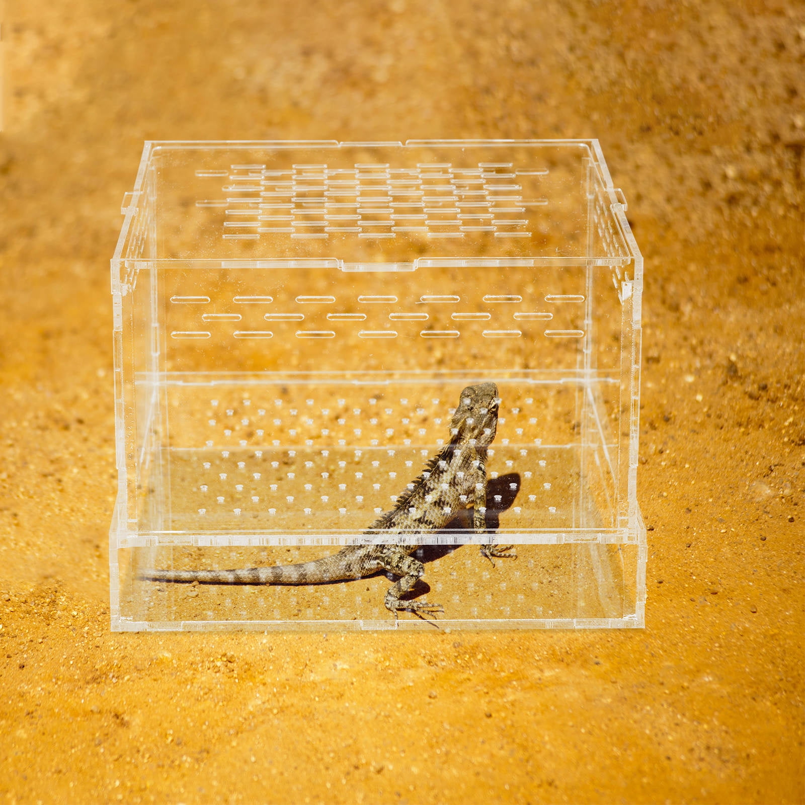 HOMEMAXS Scorpion Enclosure Barley Worm Feeding Box Insect Breeding ...