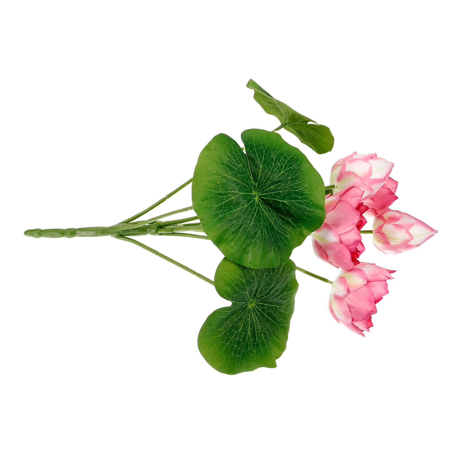 HOMEMAXS Simulation Lotus-flower Stems Lotus-flower Model Layout Lotus ...