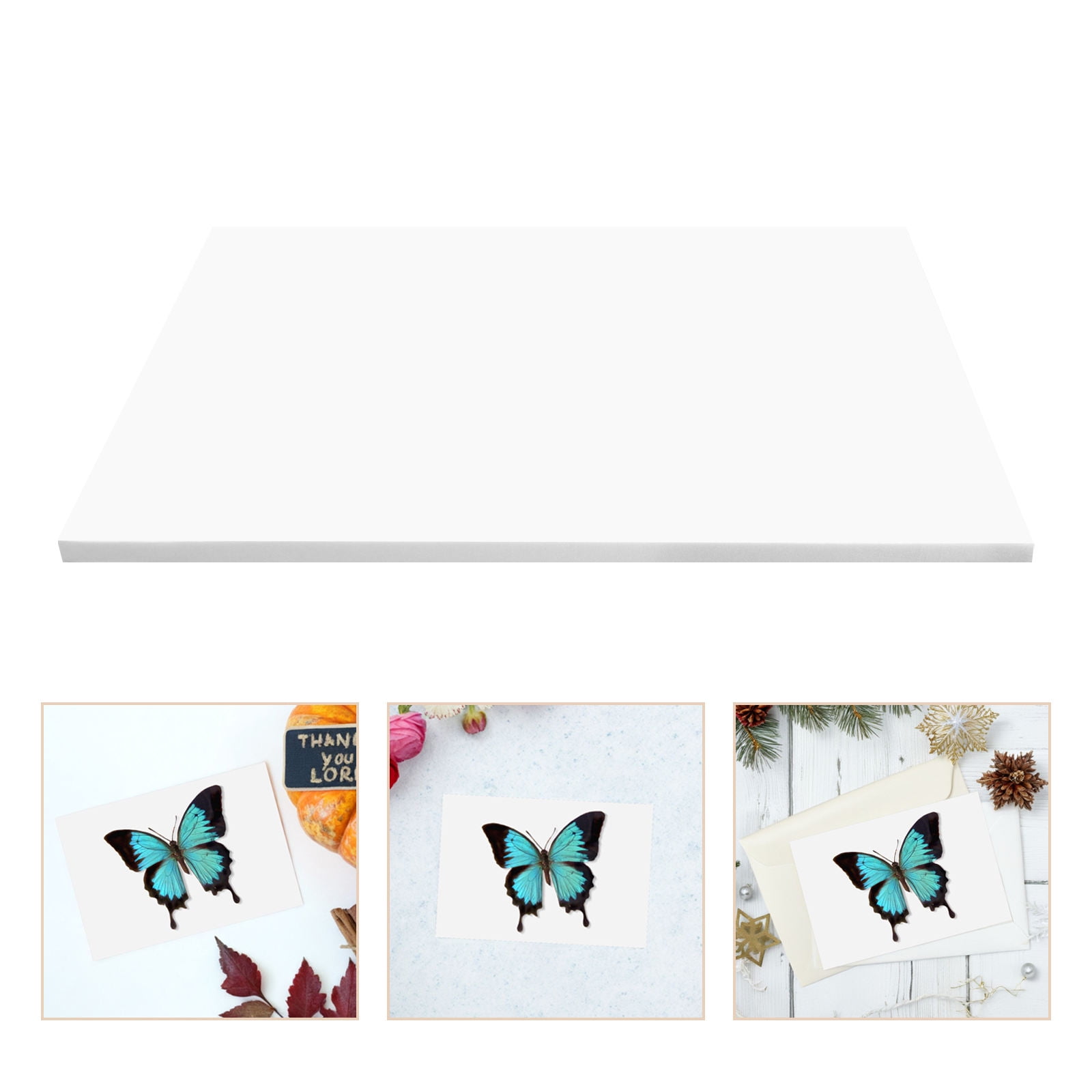 HOMEMAXS Specimen Pinning Board Eva Cushion Butterfly Display Tool For ...