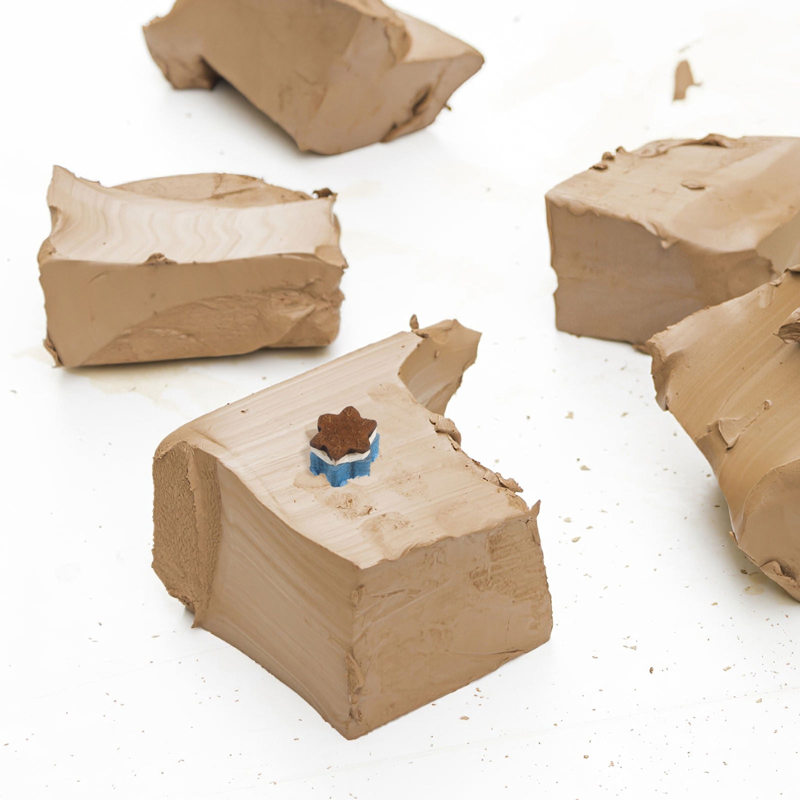 HOMEMAXS Sponge Stamps for Pottery Foam Painting Stamper Art Sponges ...