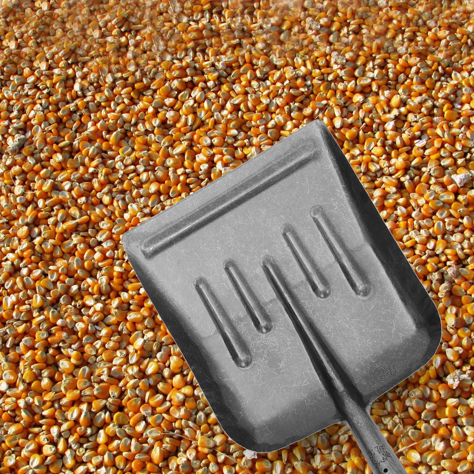 HOMEMAXS Square Shovel for Outdoor and Garden Cleaning - Heavy Duty ...