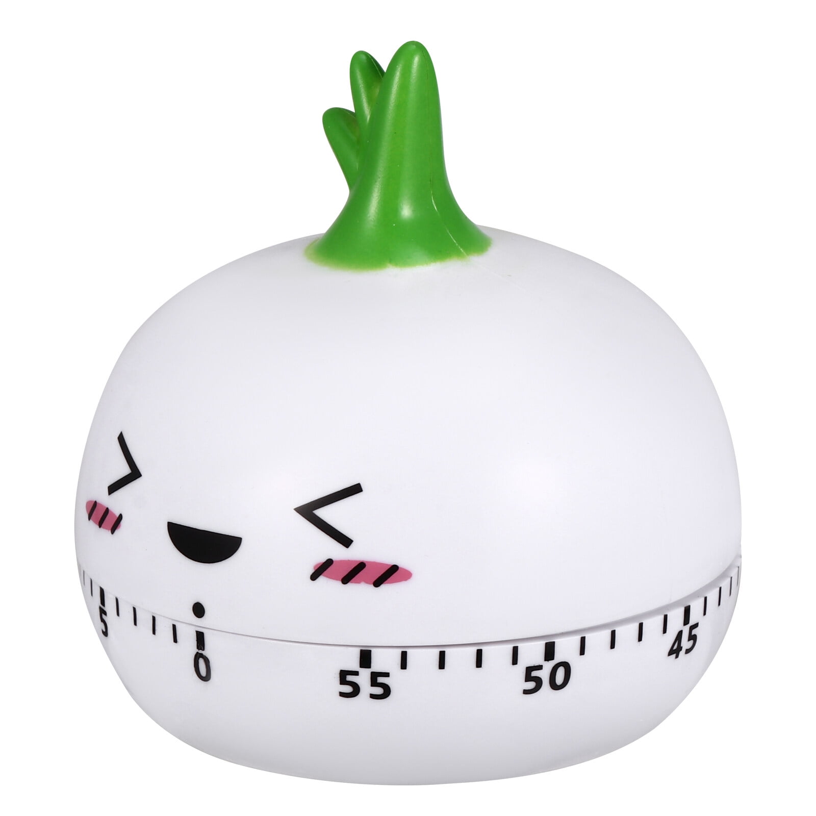 HOMEMAXS Station Onion Timer Manual Digital Chronometers Countdown - Walmart.com