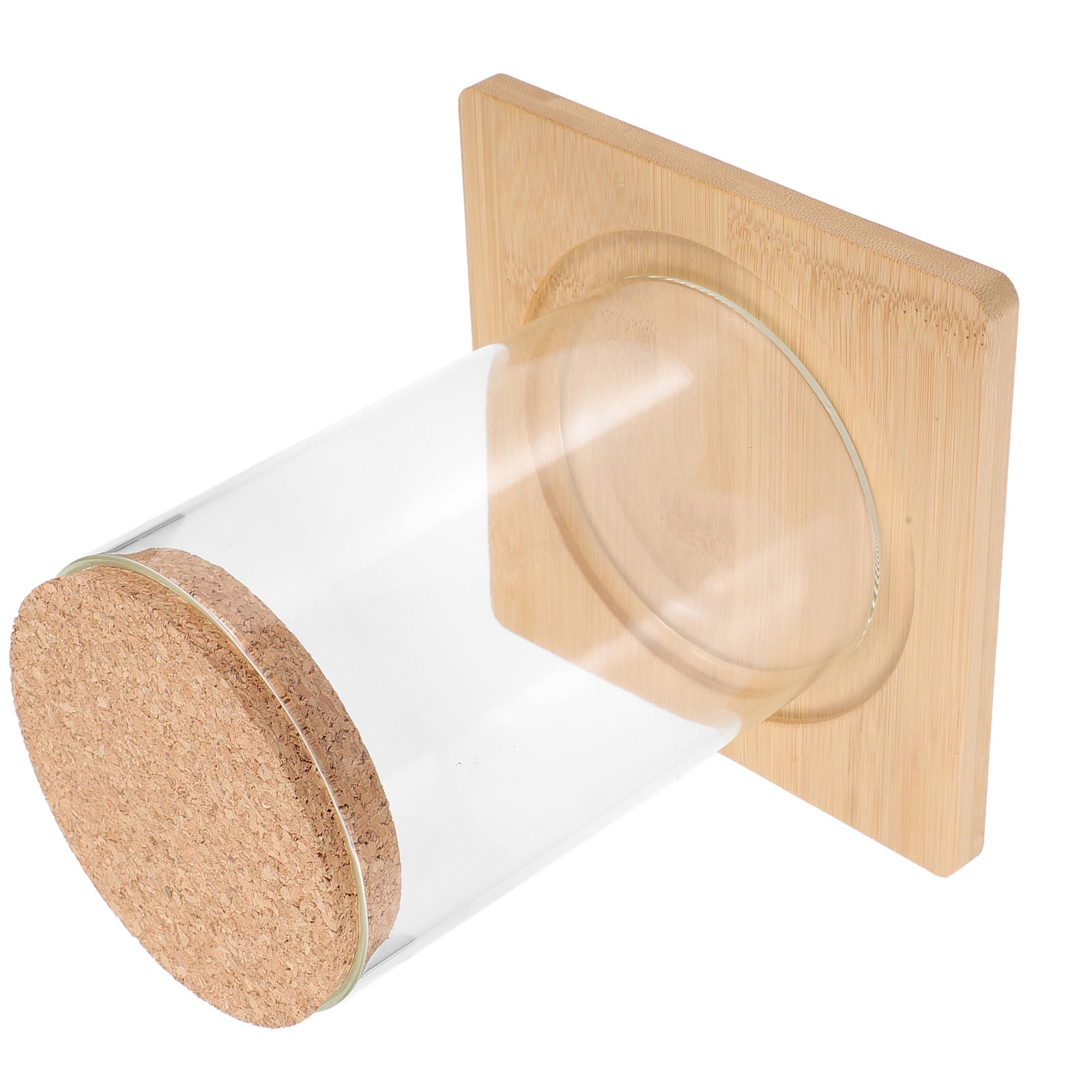 HOMEMAXS Terrarium Glass Containers Terrariums for Plants Desktop ...