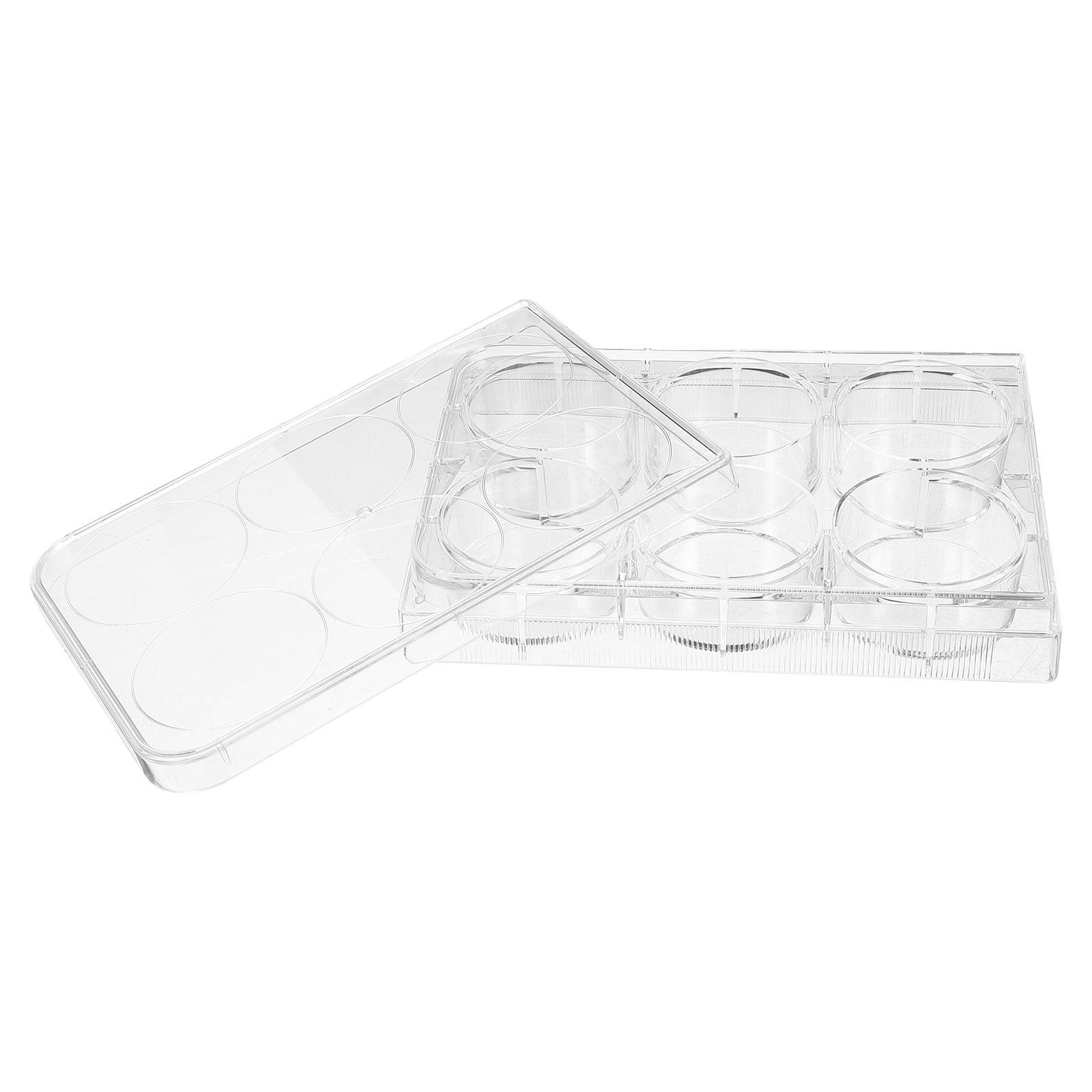 HOMEMAXS Tissue Culture Plate Lab Equipment Tissue Culture Tray Cell ...