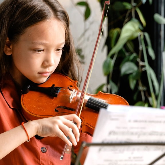 Best Sellers In Musical Instruments Violin Bows