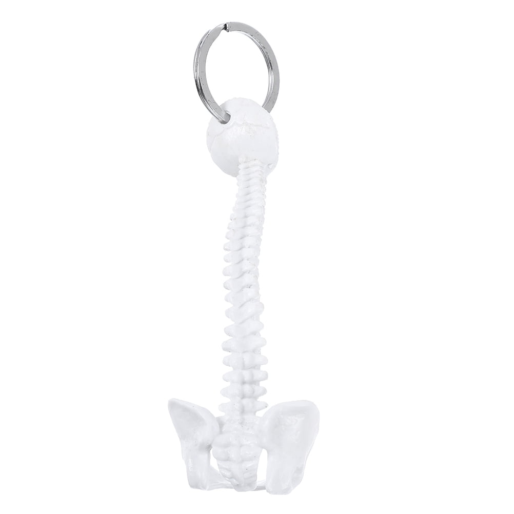 HOMEMAXS White Plastic Human Spine Keychain for Decoration with Texture ...