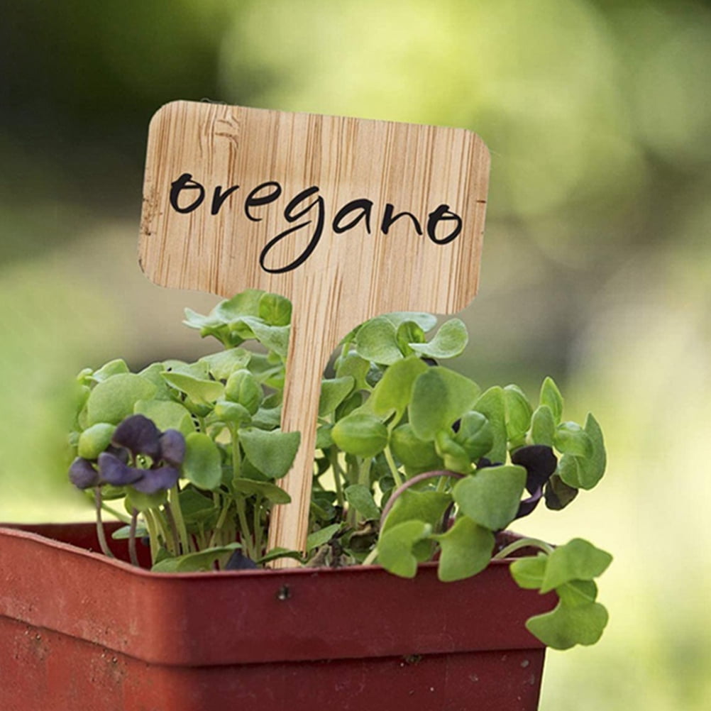 HOMEMAXS Wood Plant Tags for Garden Decoration 60pcs Beige ...