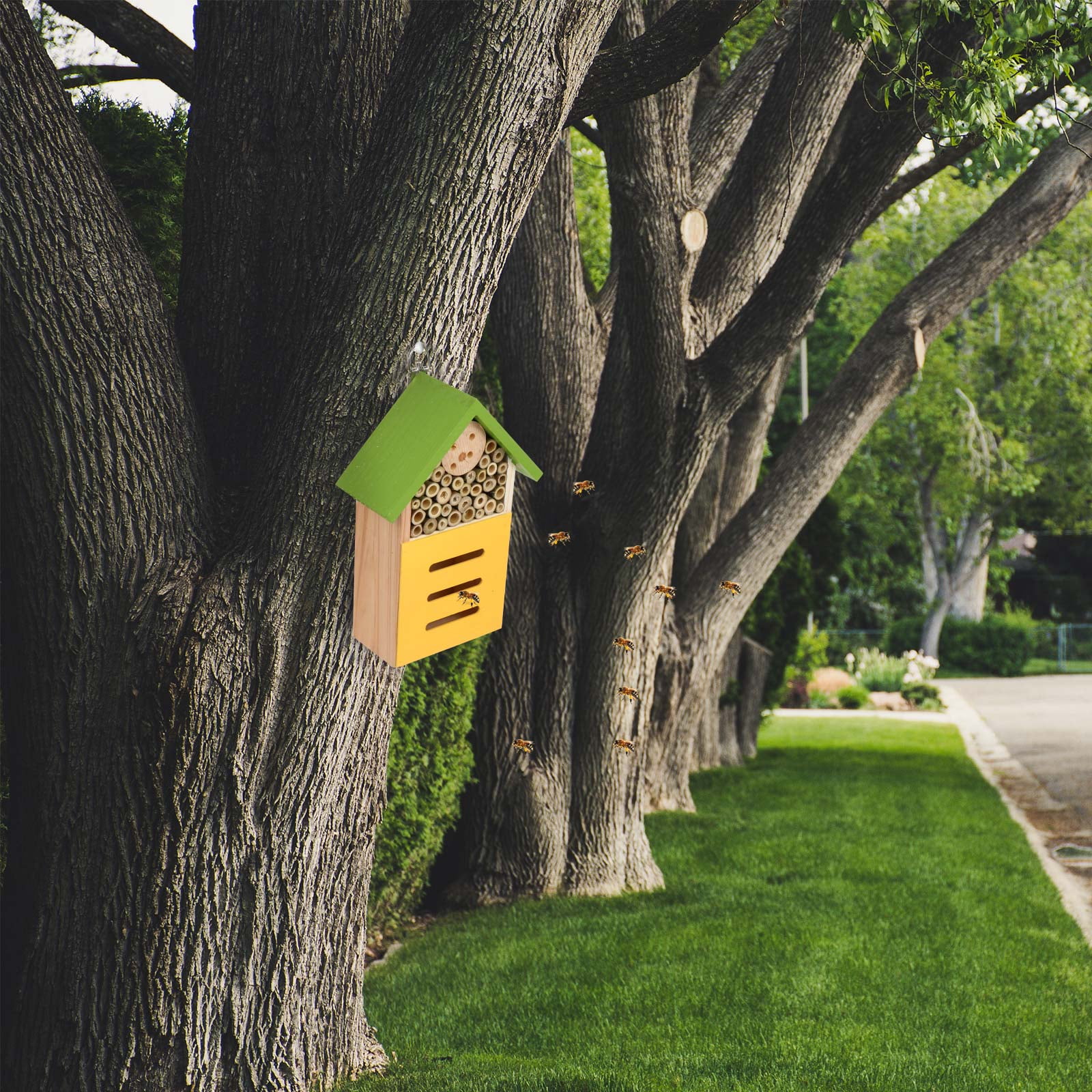 HOMEMAXS Wooden House Beehive Outdoor Decor Insect Enclosure Natural ...