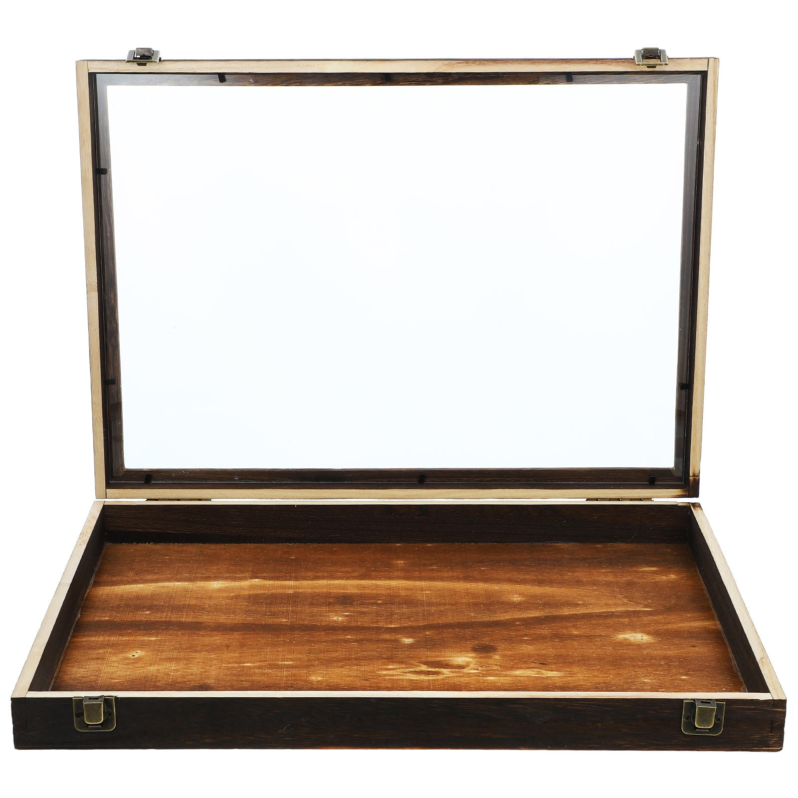 HOMEMAXS Wooden Insect Display Box for Scary Decor Brown Vintage ...