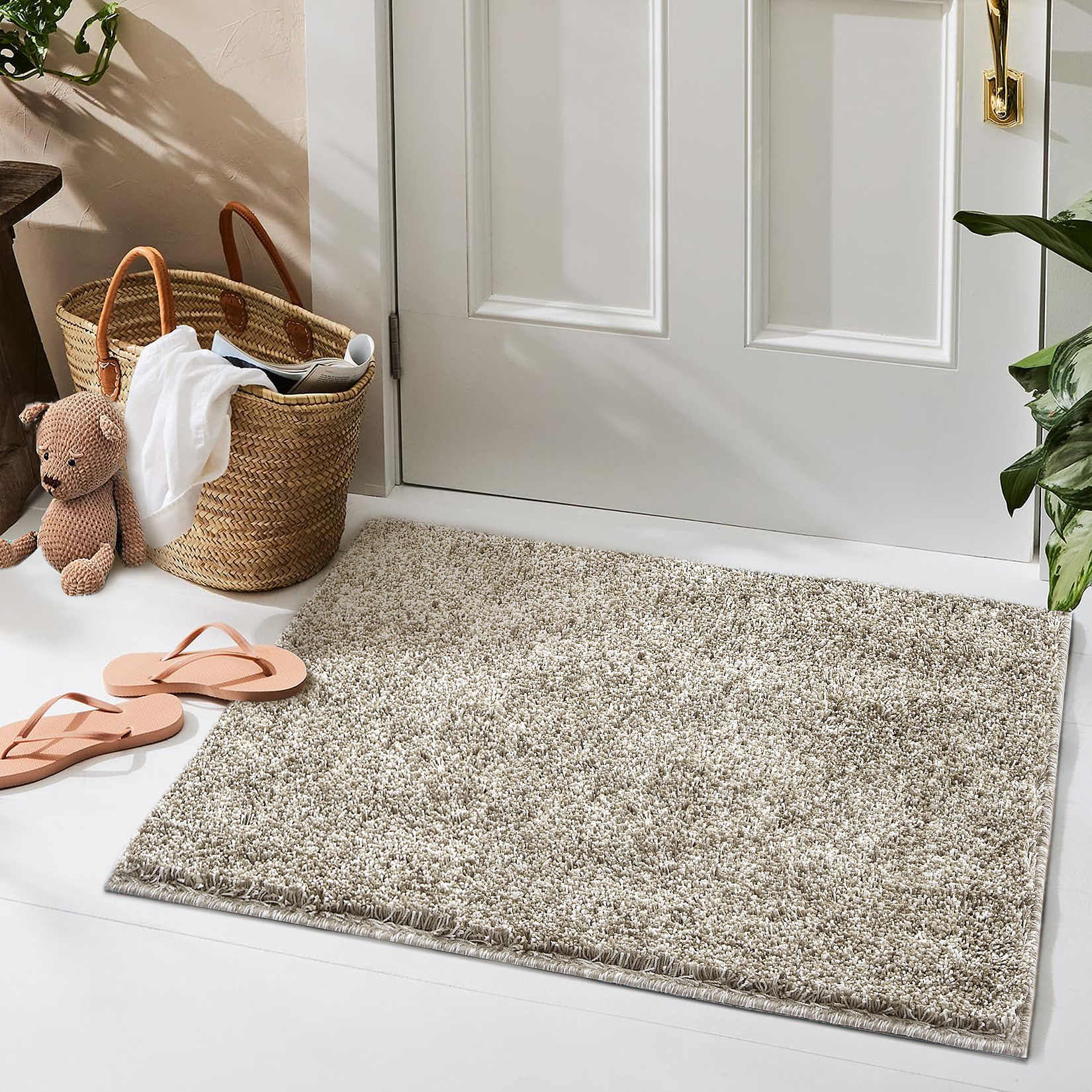 HOMERRY Small Mat 2' x 3' Rug for Doormats Throw Rug for Living Room ...