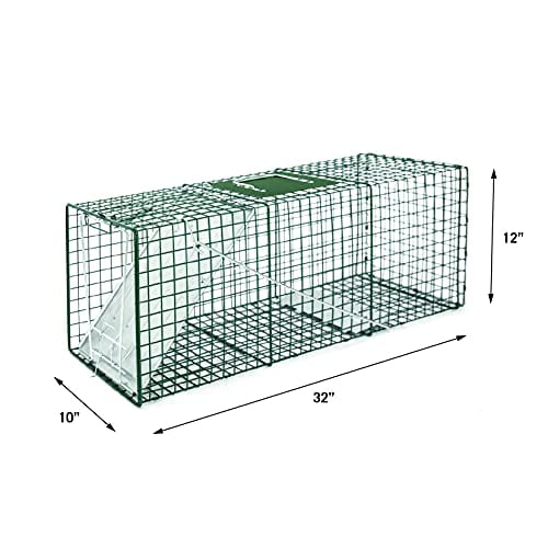 HOMESTEAD 32 Inch Live Animal Trap - Specialized for Raccoons, Opossums ...