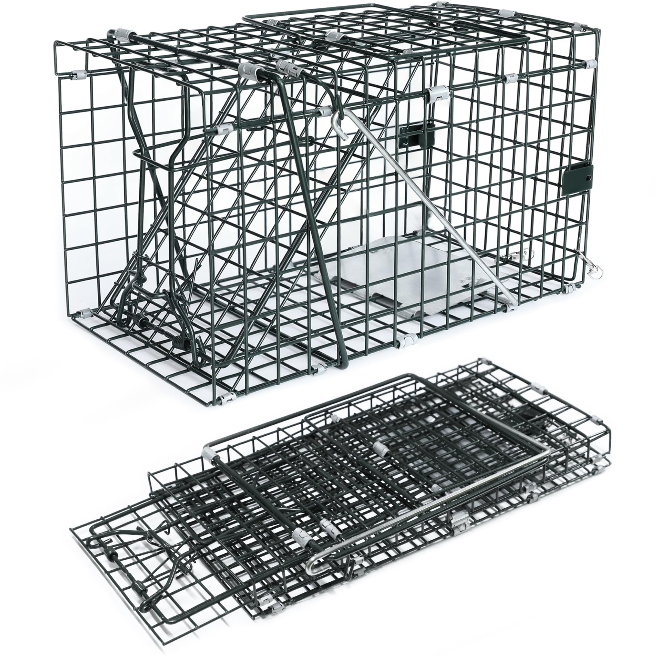 HOMESTEAD Collapsible Live Trap 14in – Small Animal Trap Cage for Red ...