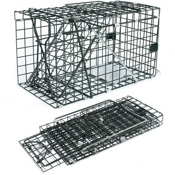 HOMESTEAD Collapsible Live Trap 14in – Small Animal Trap Cage for Red ...