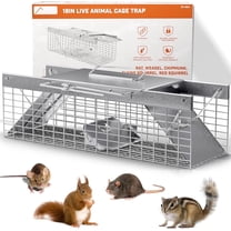 Deago 2 Pack Humane Rat Trap Mouse Traps Cage for Indoor or Outdoor ...