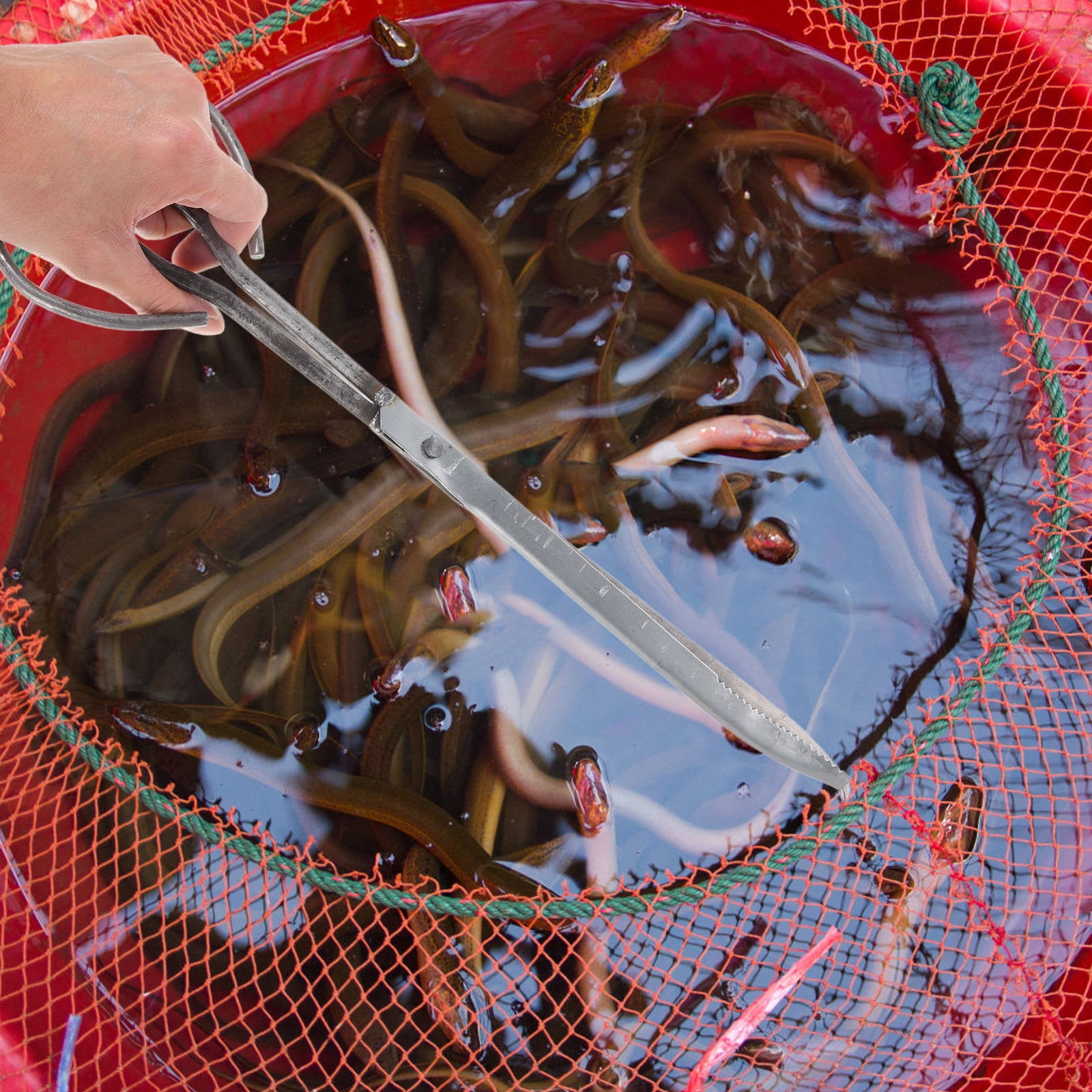 HOMOBABE 30Pcs Fish Clamps Metal Fish Catching Hand Clamp for Fishing ...