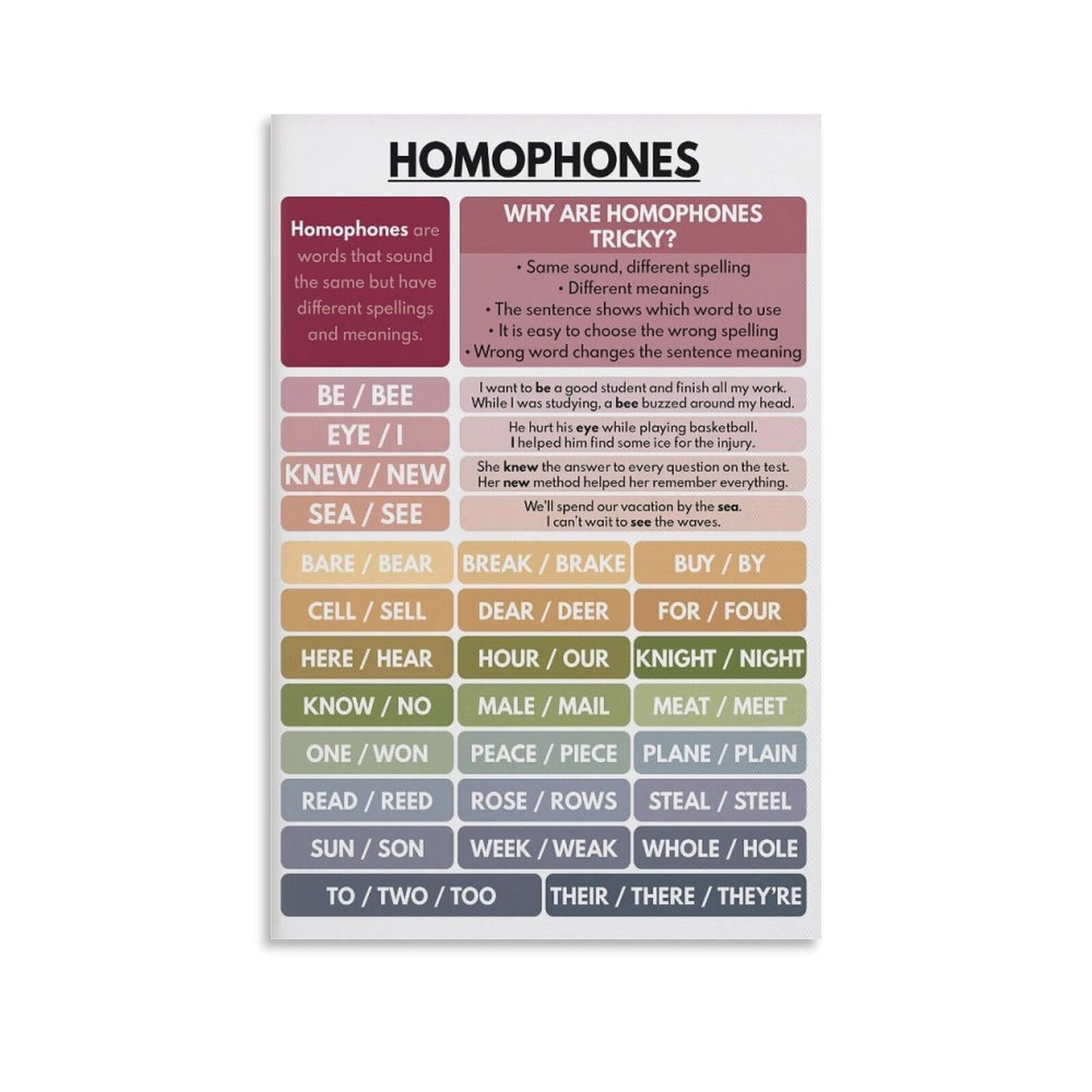 HOMOPHONES POSTER, English Language, Grammar Chart, Correct Spelling ...
