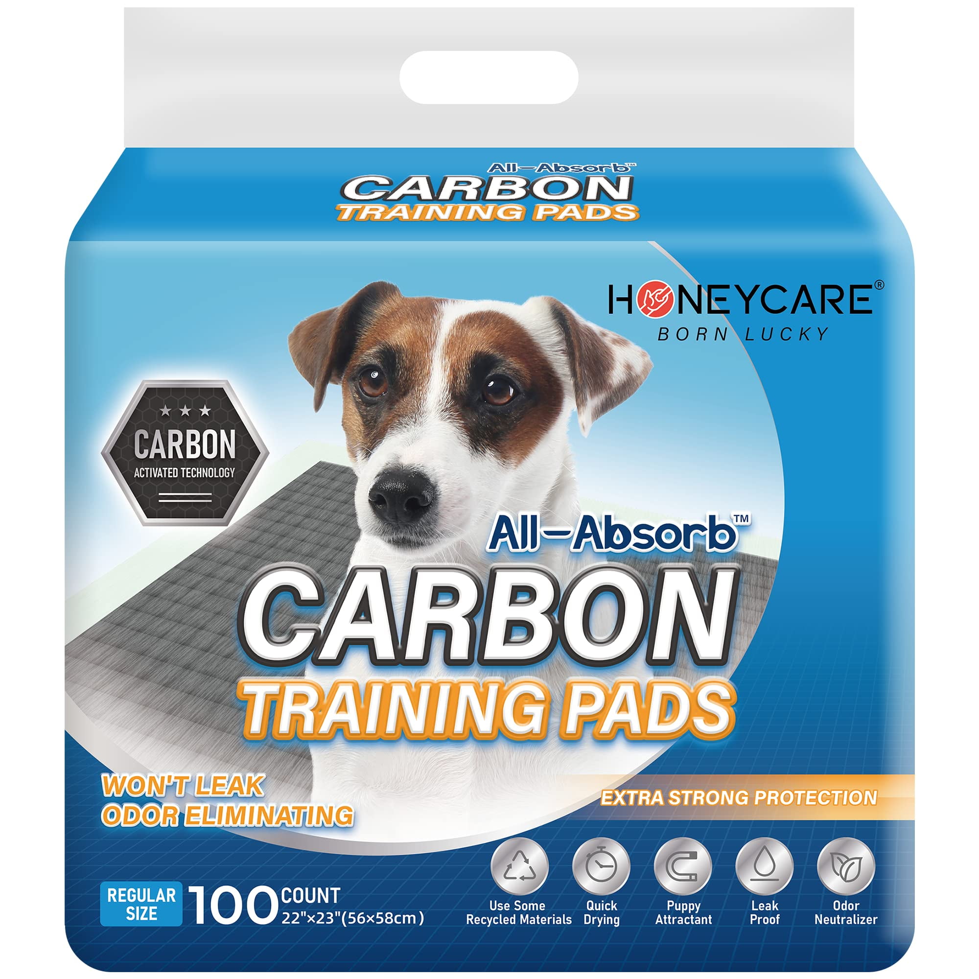 HONEY CARE All-Absorb Puppy YYF14 Training Pads | Doggie Potty Pads ...