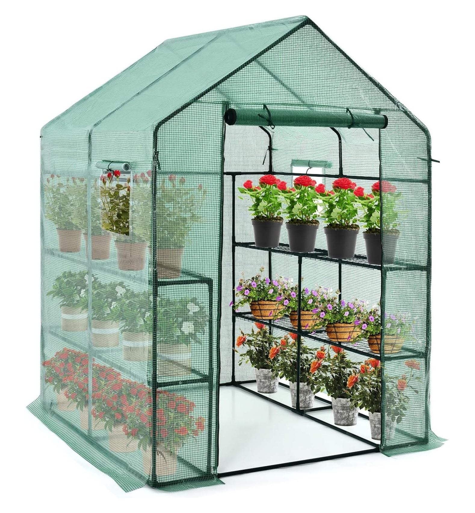 HONGDINGF Walk-in Greenhouse, Greenhouse for Outdoors with Roll-Up ... HONGDINGF Walk-in Greenhouse, Greenhouse for Outdoors with Roll-Up ...