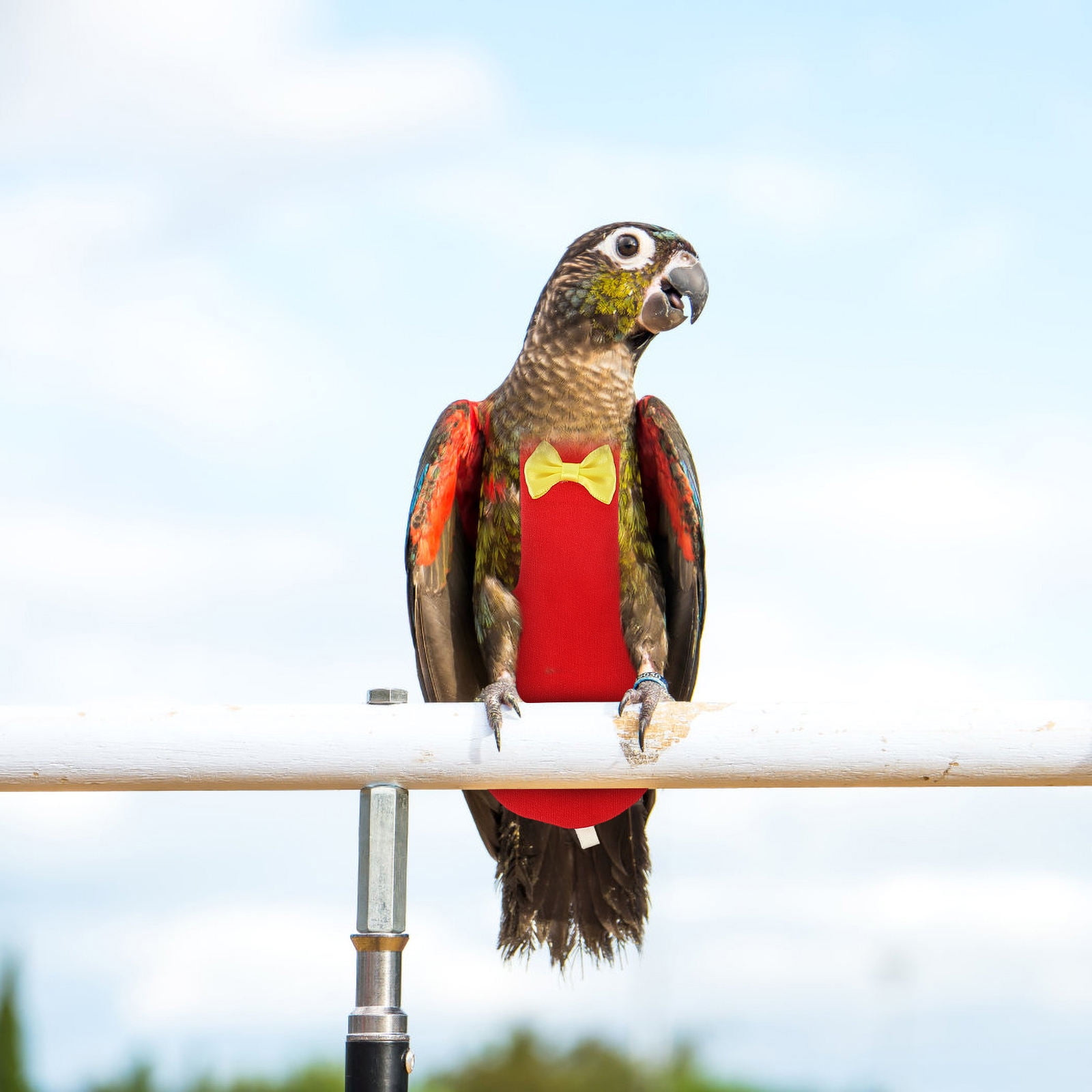 HONITANO 1 Set Reusable Bird Clothes for Parakeets with Protective ...