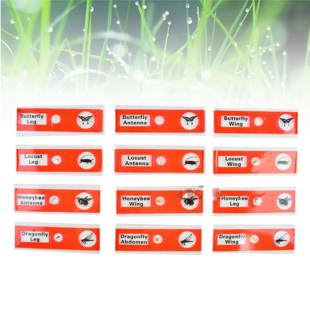 HONITANO 12Pcs Red Plastic Microscope Slide for Specimen Observation ...