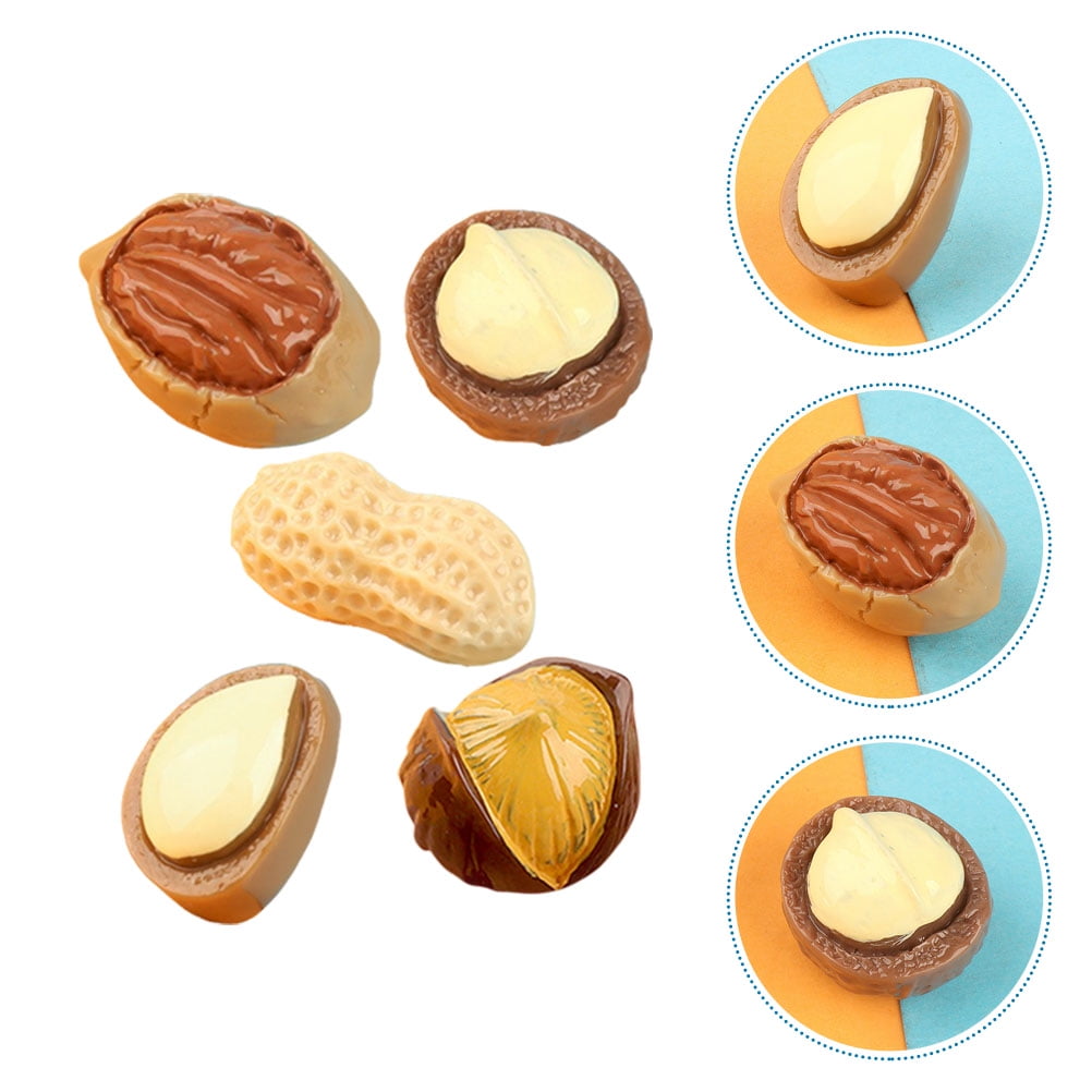 HONITANO 20Pack Decoration Nut Miniature Toys Nut Shape Resin Mixed ...