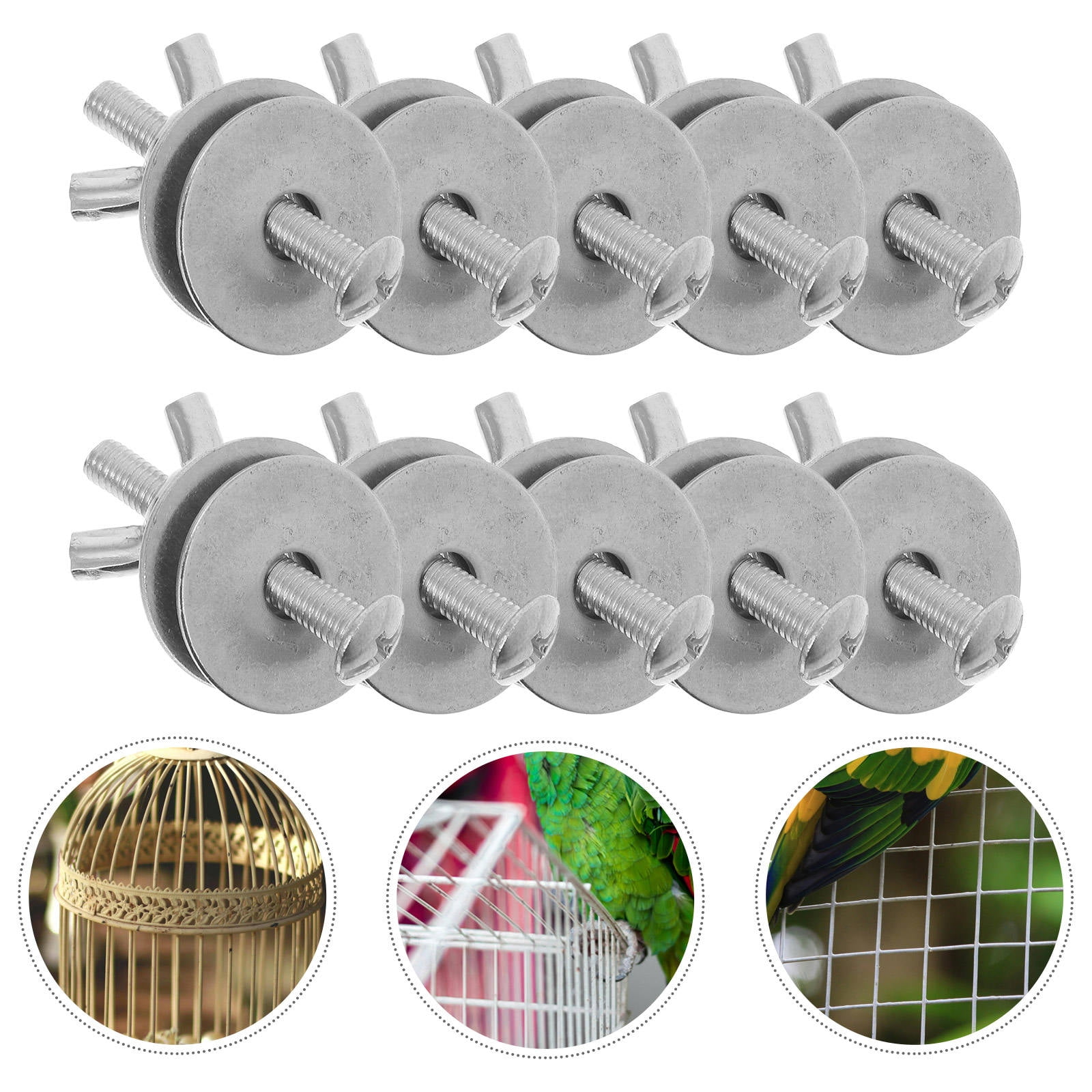 HONITANO 40 Pcs Bird Breeding Box Screws Kit in Silver for Multipurpose ...