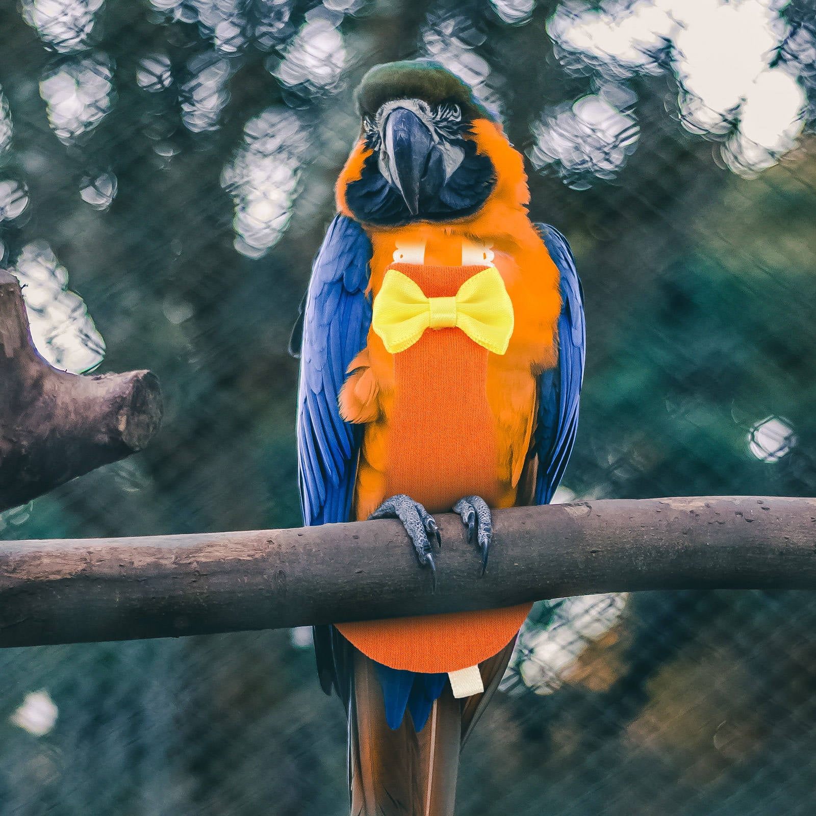 HONMEET 1 Set Comfortable Flight Bird Diaper With Elastic Bands For ...