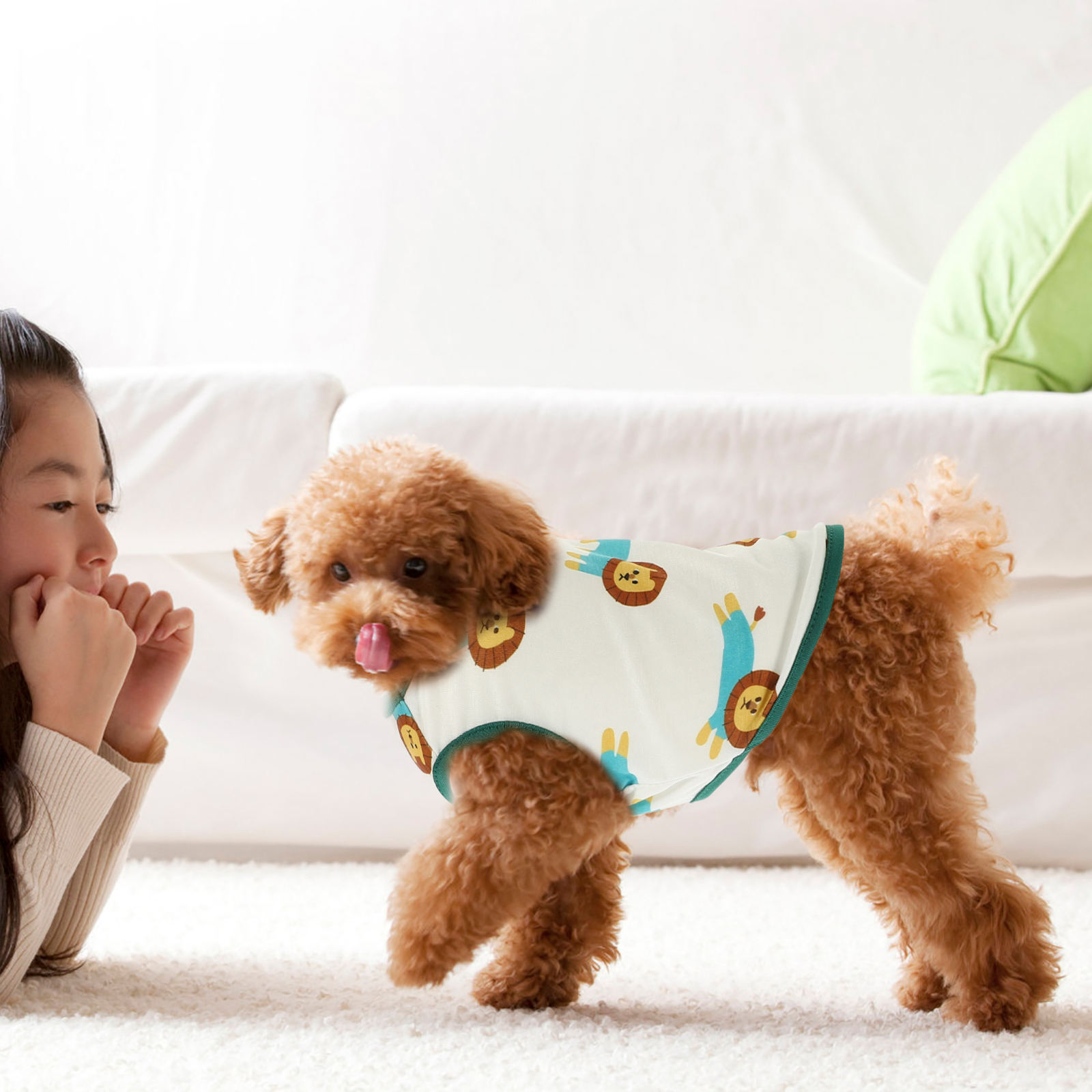 HONMEET 1 Set Pet Vest for Small Dogs with and Cooling Function in ...