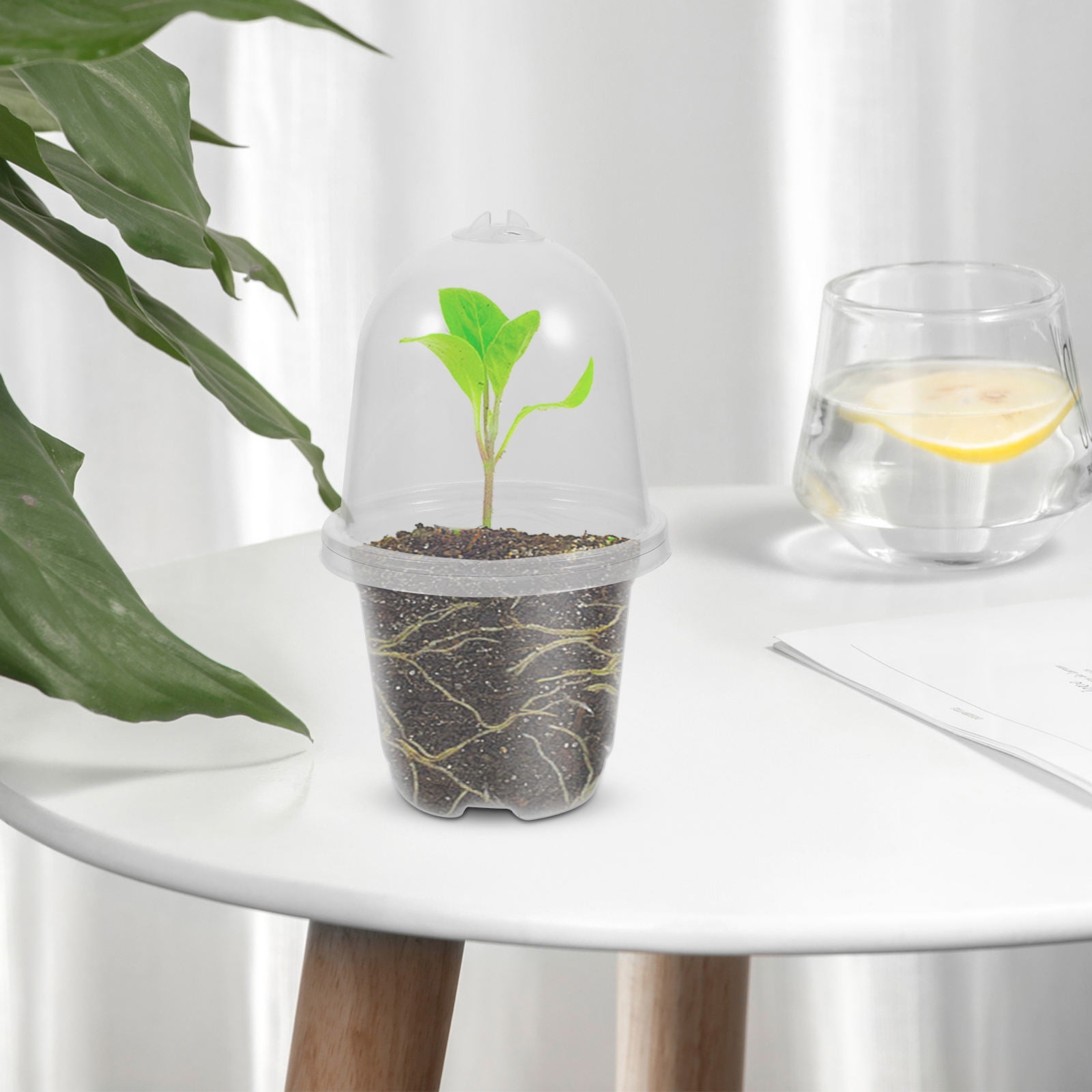 HONMEET Transparent Plastic Garden Flower Planting Pots 10 Sets Outdoor ...