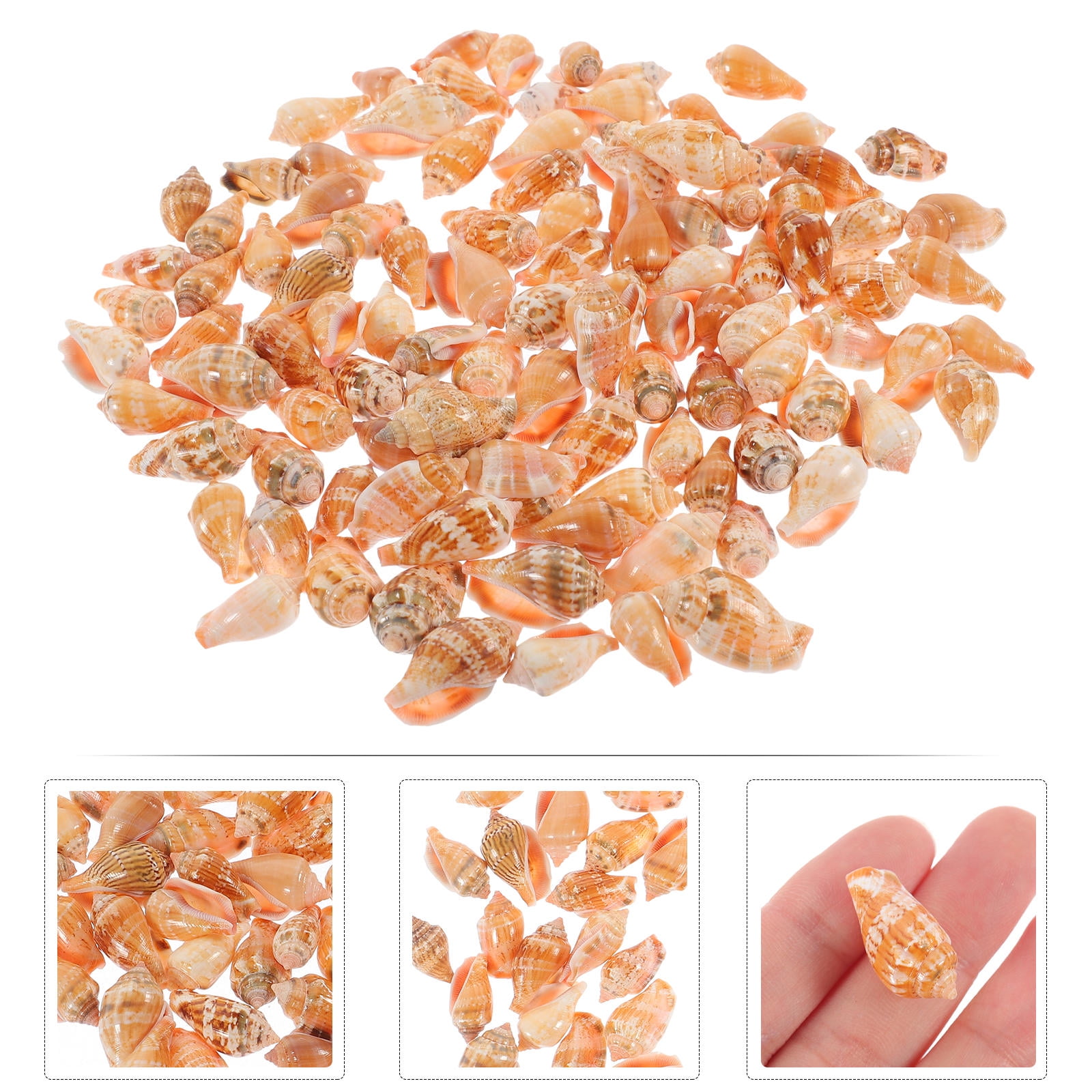 HONMEET 100pcs Natural Decorative Shells Mini Conch for Fish Tank Decor ...