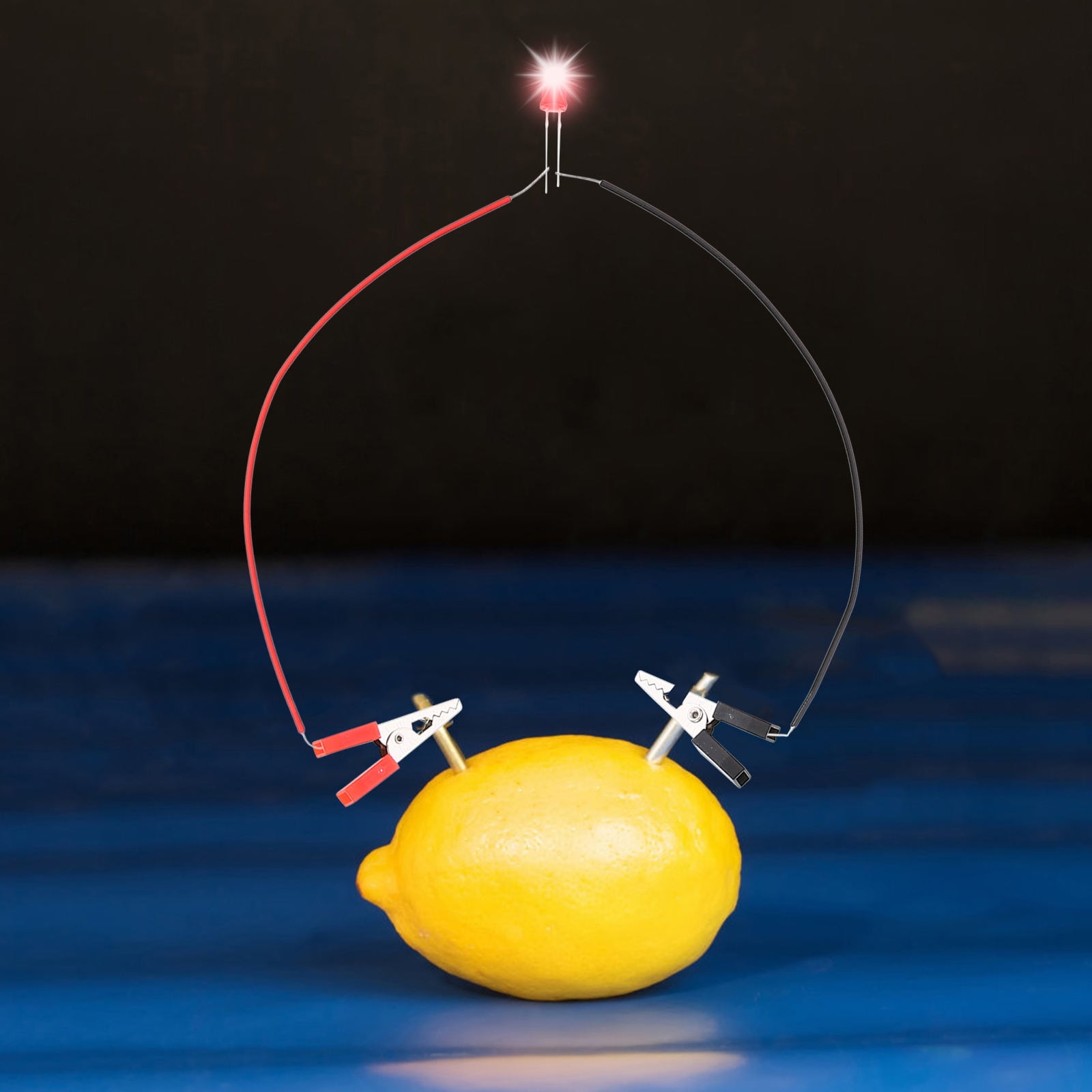 HONMEET 10Pack Fruit Battery Kit Electricity Science Kit Kids Accessory ...