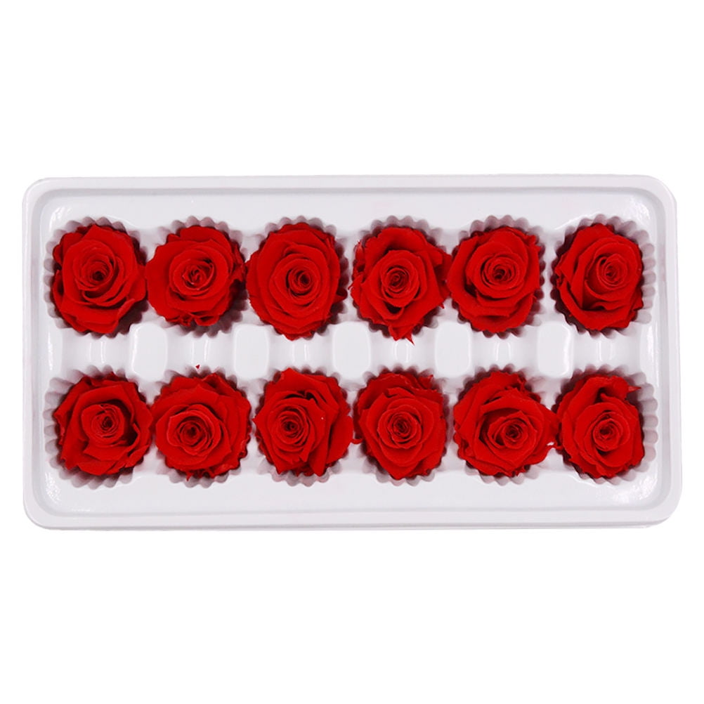 HONMEET 12pcs/Box Preserved Rose Head Rose Head Forever Flowers For ...