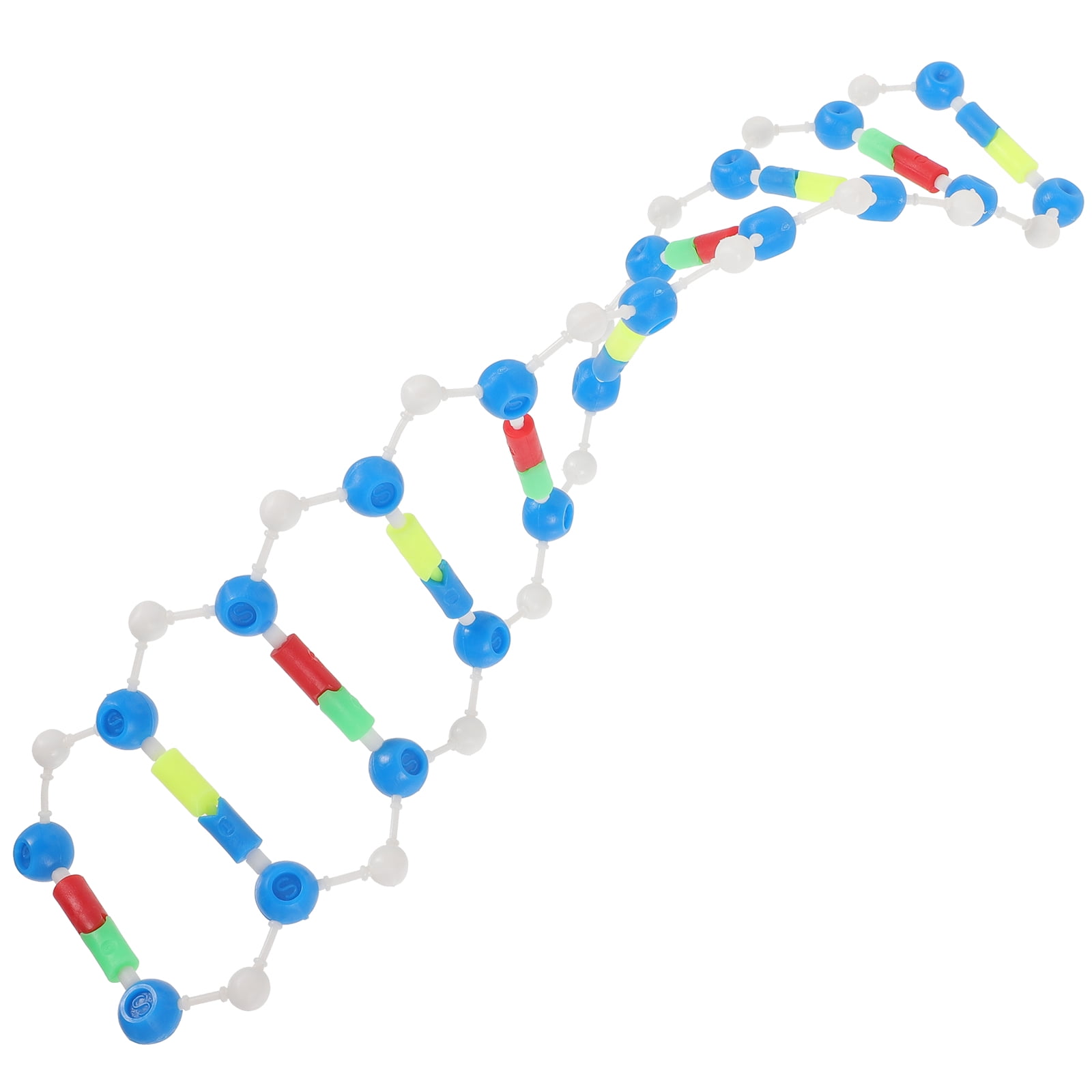 HONMEET 1Pack Double Helix Dna Model for Components Dna Science Model ...