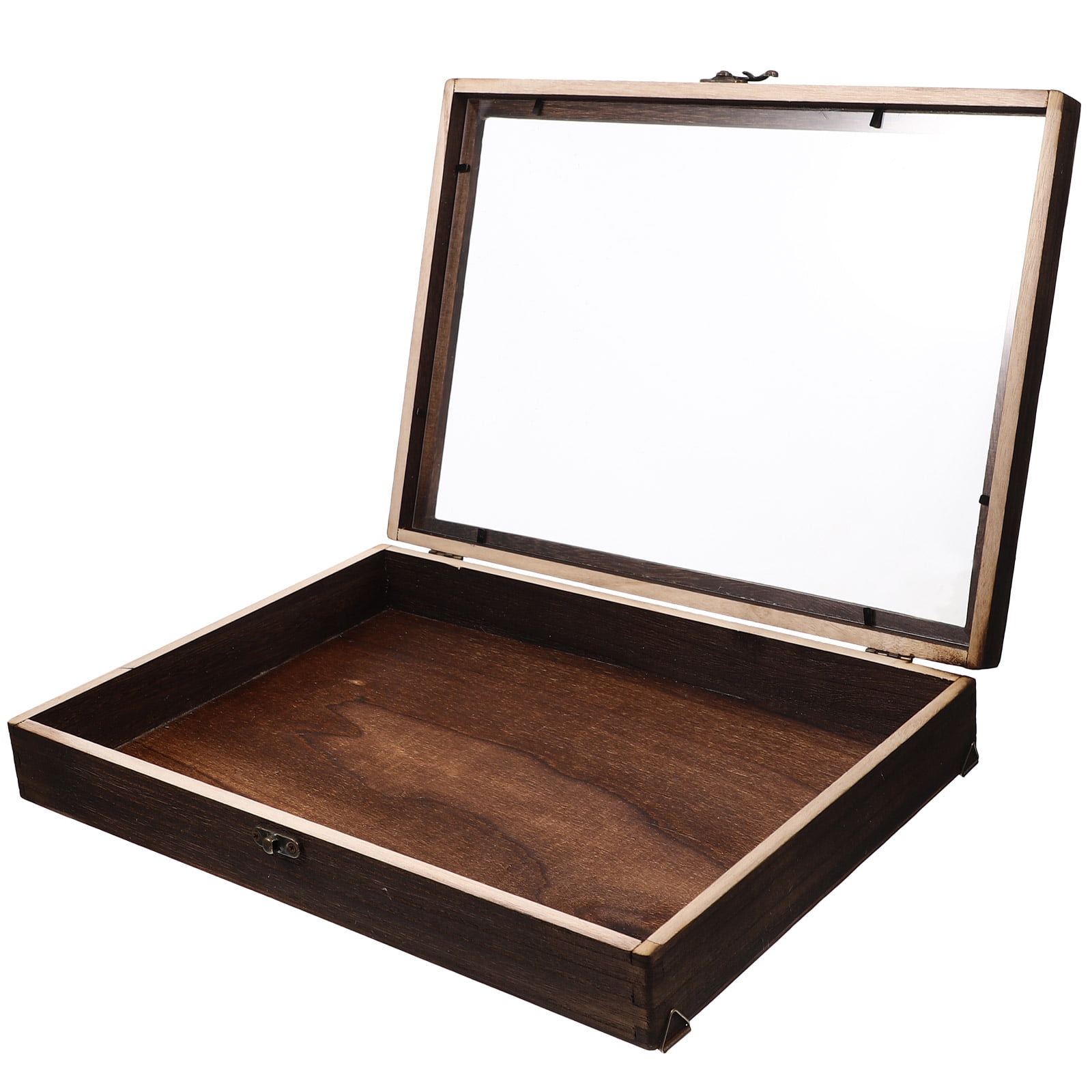 HONMEET 1Pcs Insect Specimen Display Case For Craft And Collection ...