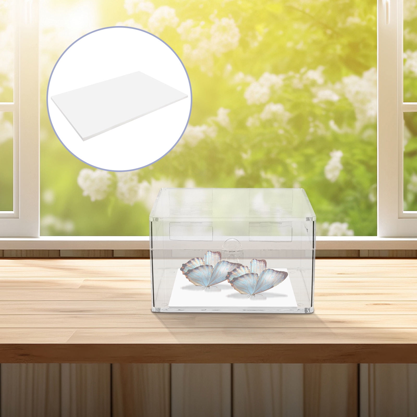 HONMEET 1Pcs White Butterfly Display Box For Personal Collections ...