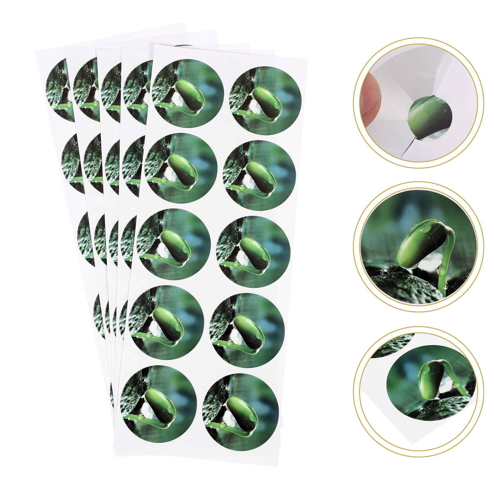 HONMEET 5Sheets 10StickersPerSheet Round Green PVC Pot Labels for ...